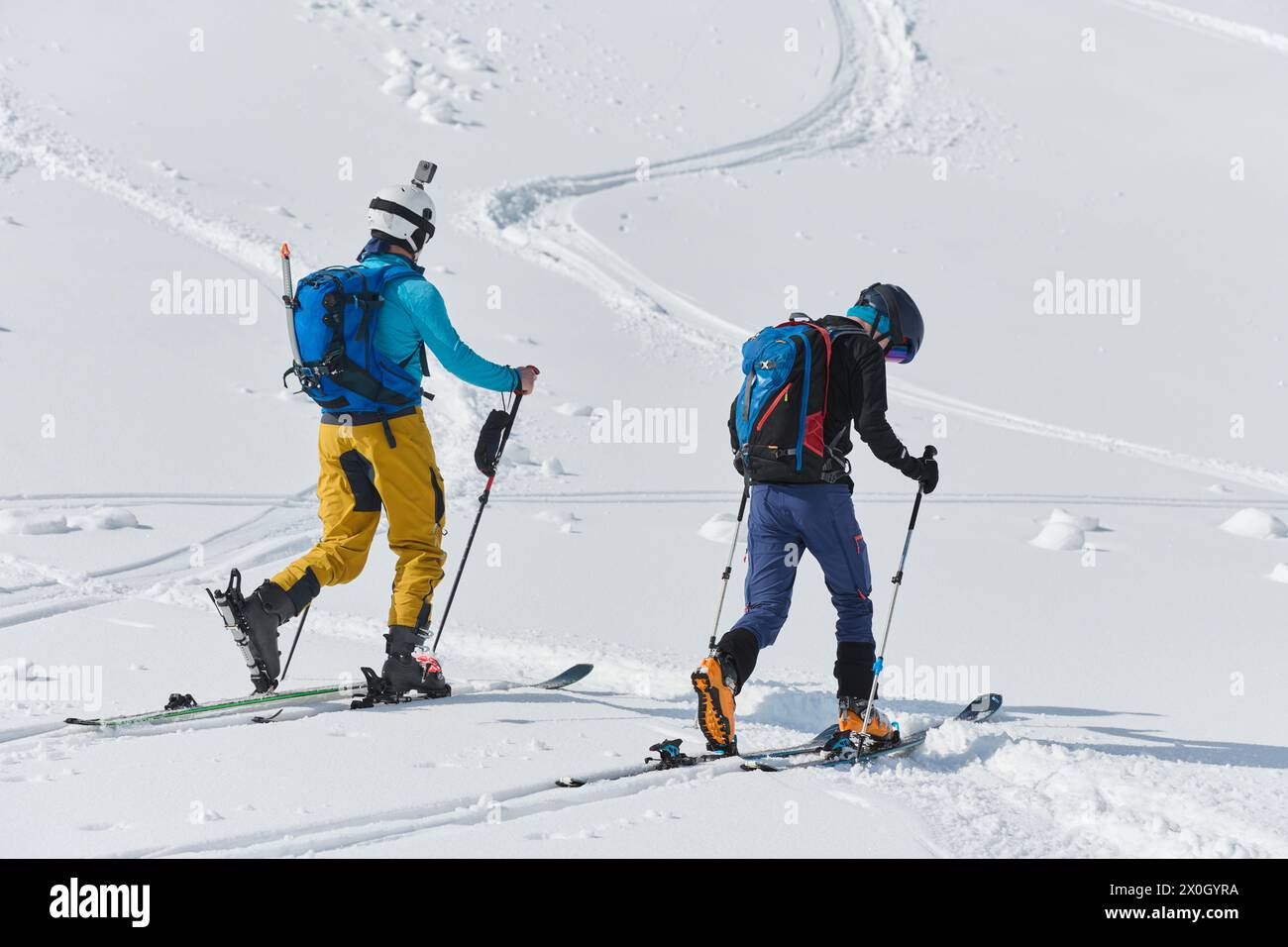 Alpine Ascent: Two Professional Skiers Conquer Snowy Peaks as a ...