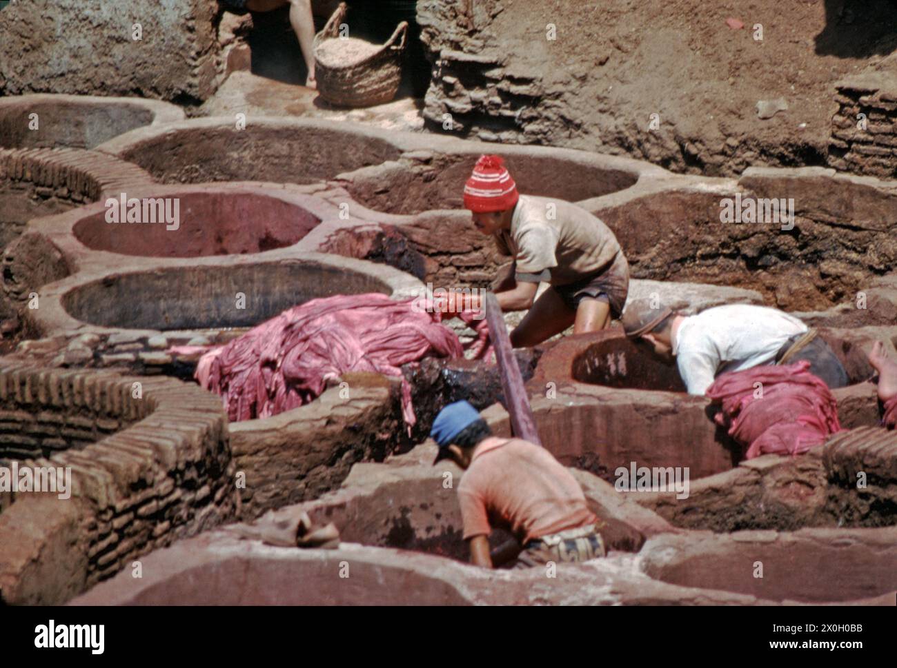 Fur tanning in the souks of Fez, Morocco [automated translation] Stock ...