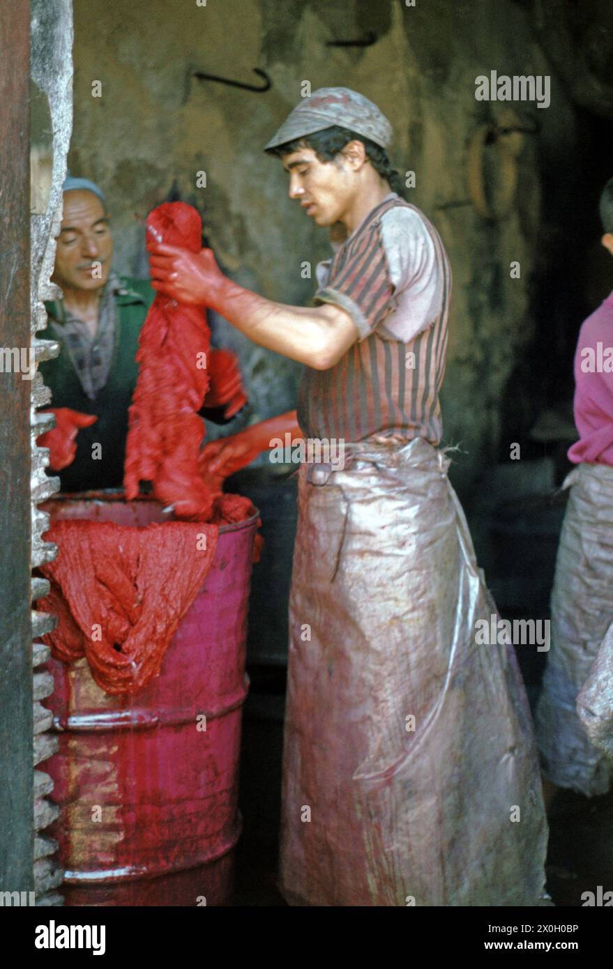 Wool dyers in the souks of Fez, Morocco [automated translation] Stock ...