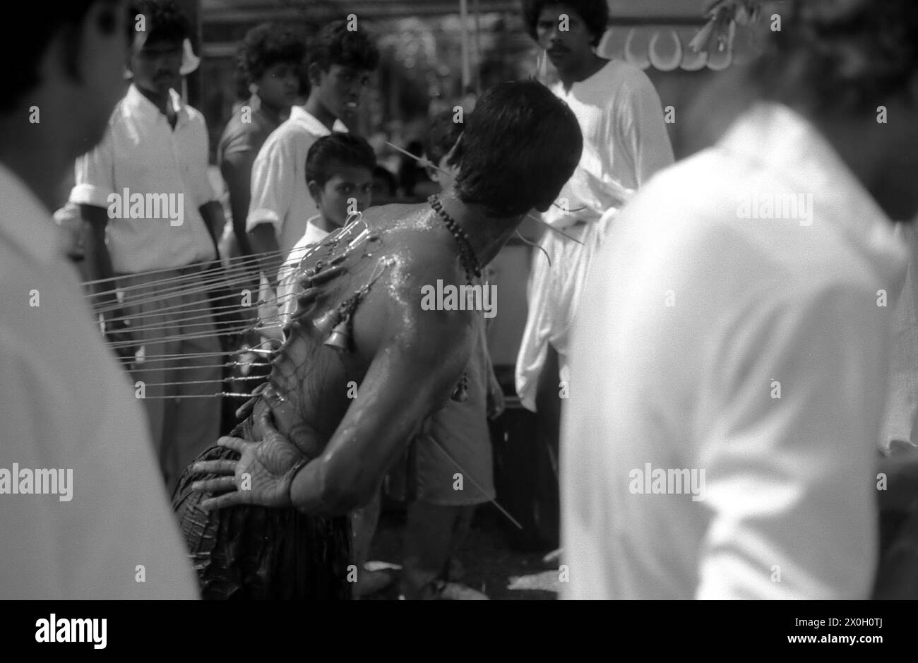 Devotees scourging themselves with hooks on ropes attached to their ...