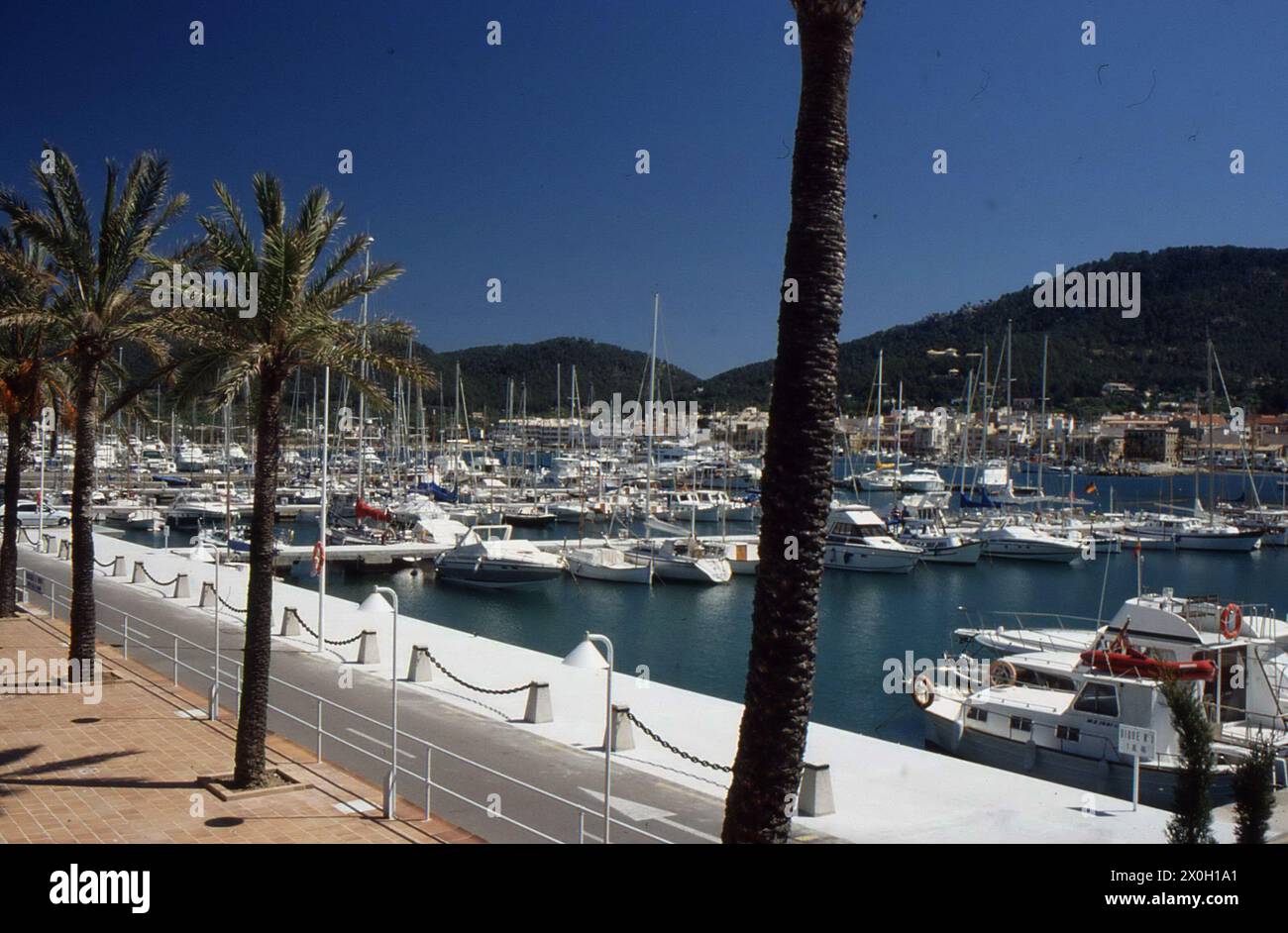 Esplanade, boats, palm trees and view of the yacht harbor of Andratx on ...