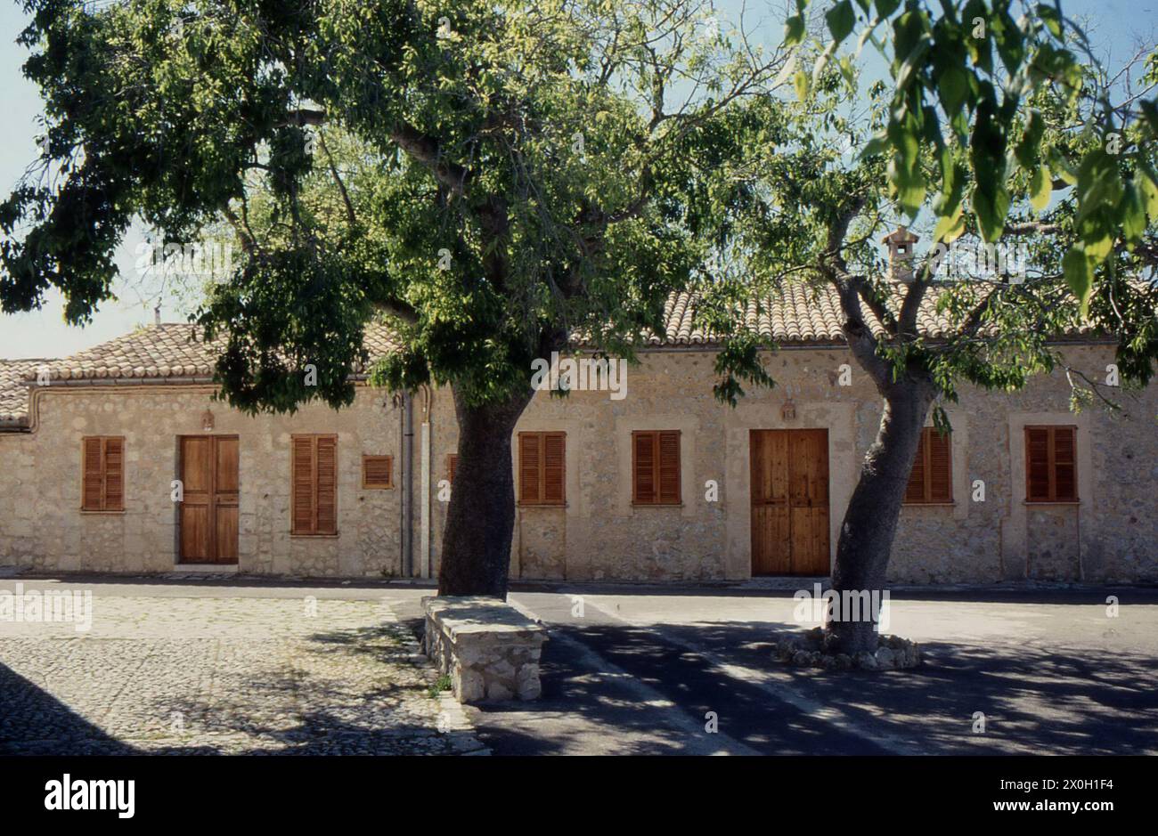 Trees and a farm house on Majorca (undated picture Stock Photo - Alamy