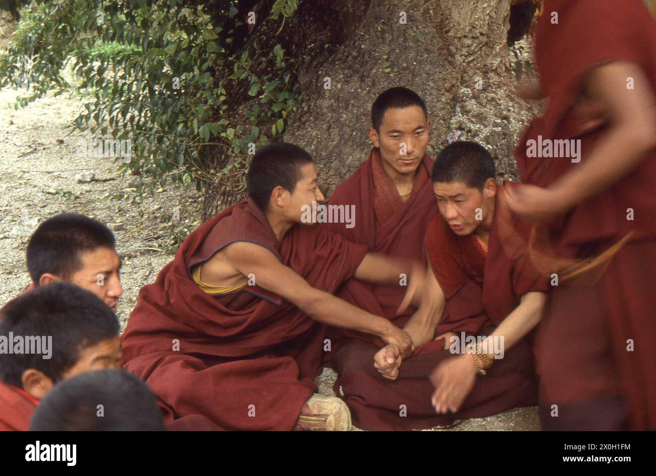 Tibetan monks talking Stock Photo - Alamy