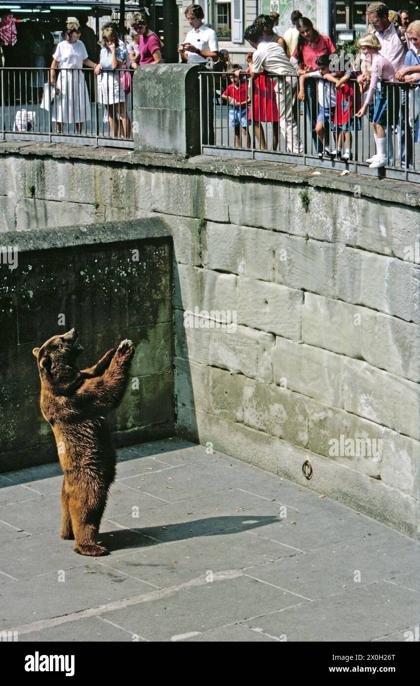 Bear pit in Bern [automated translation] Stock Photo - Alamy