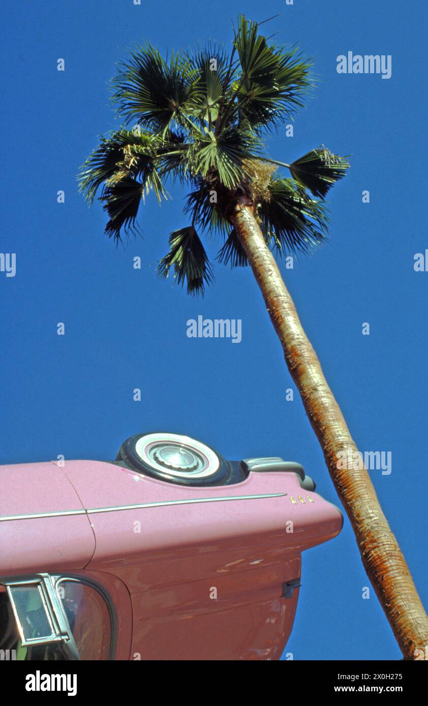 Pink Cadillac and palm tree, Universal Studios, Los Angeles, California ...