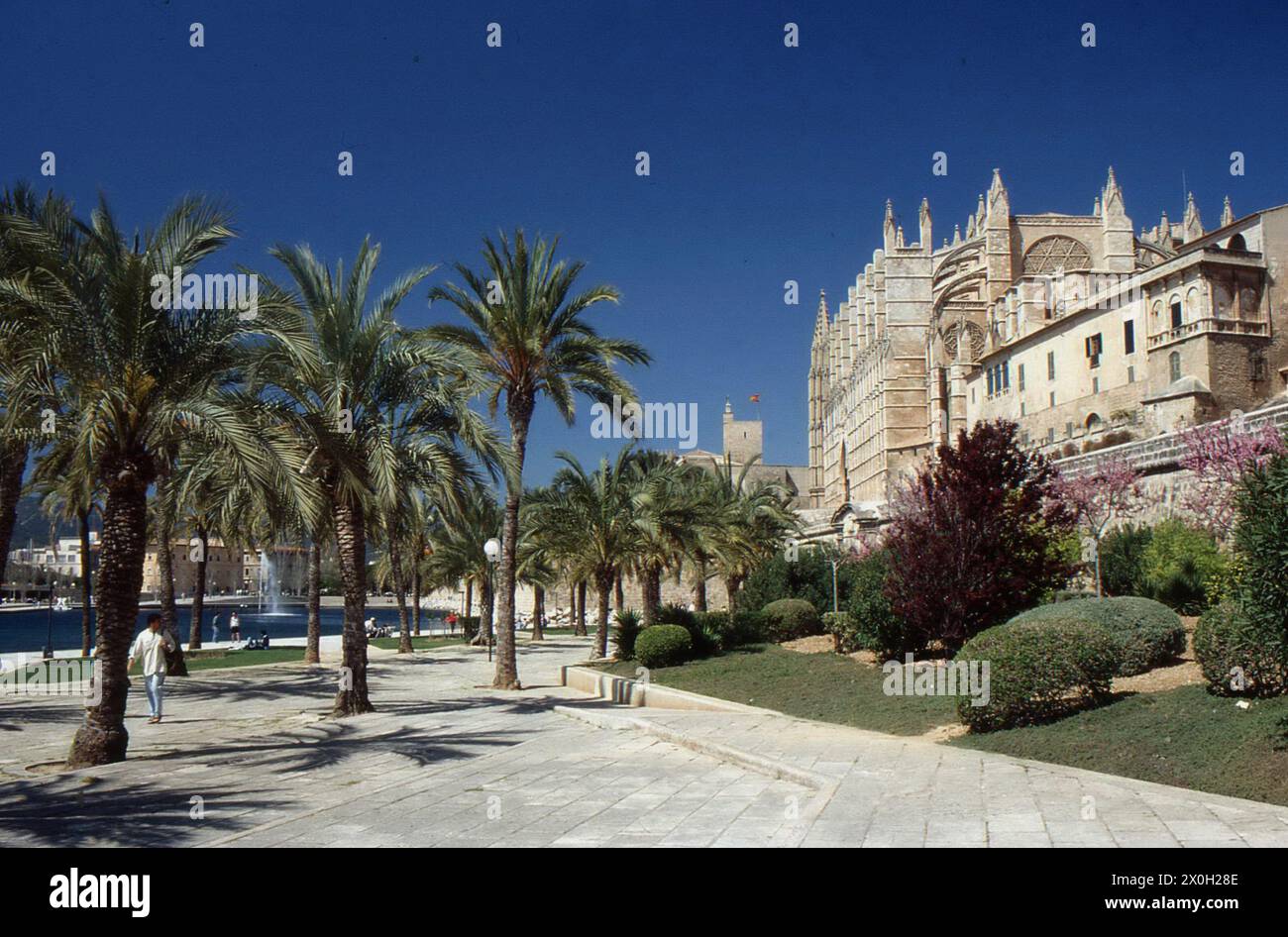 Majorca in 1980s hi-res stock photography and images - Alamy