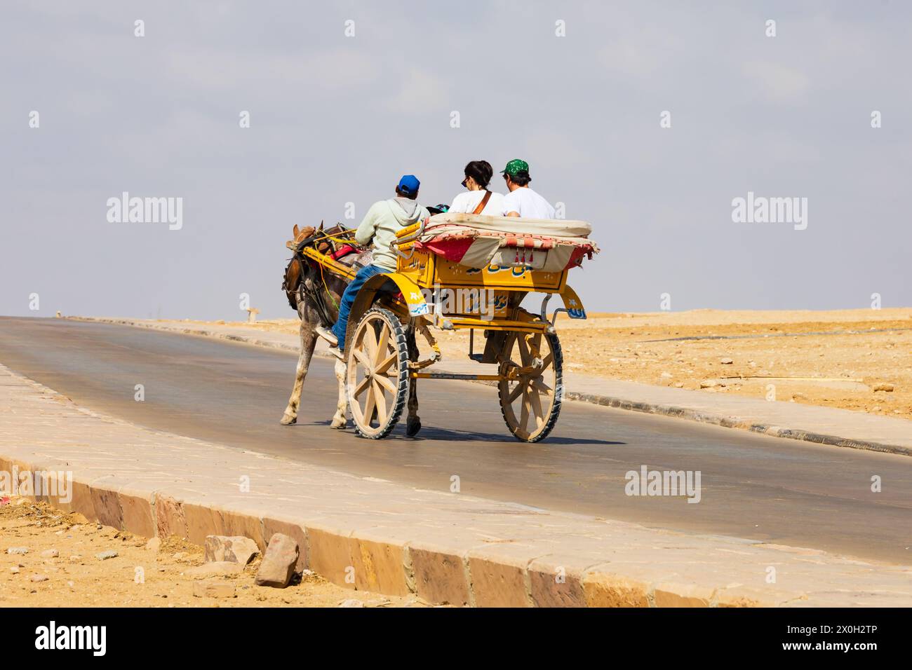 Tourists take a Bedouin pony and trap ride near the great Pyramids of ...