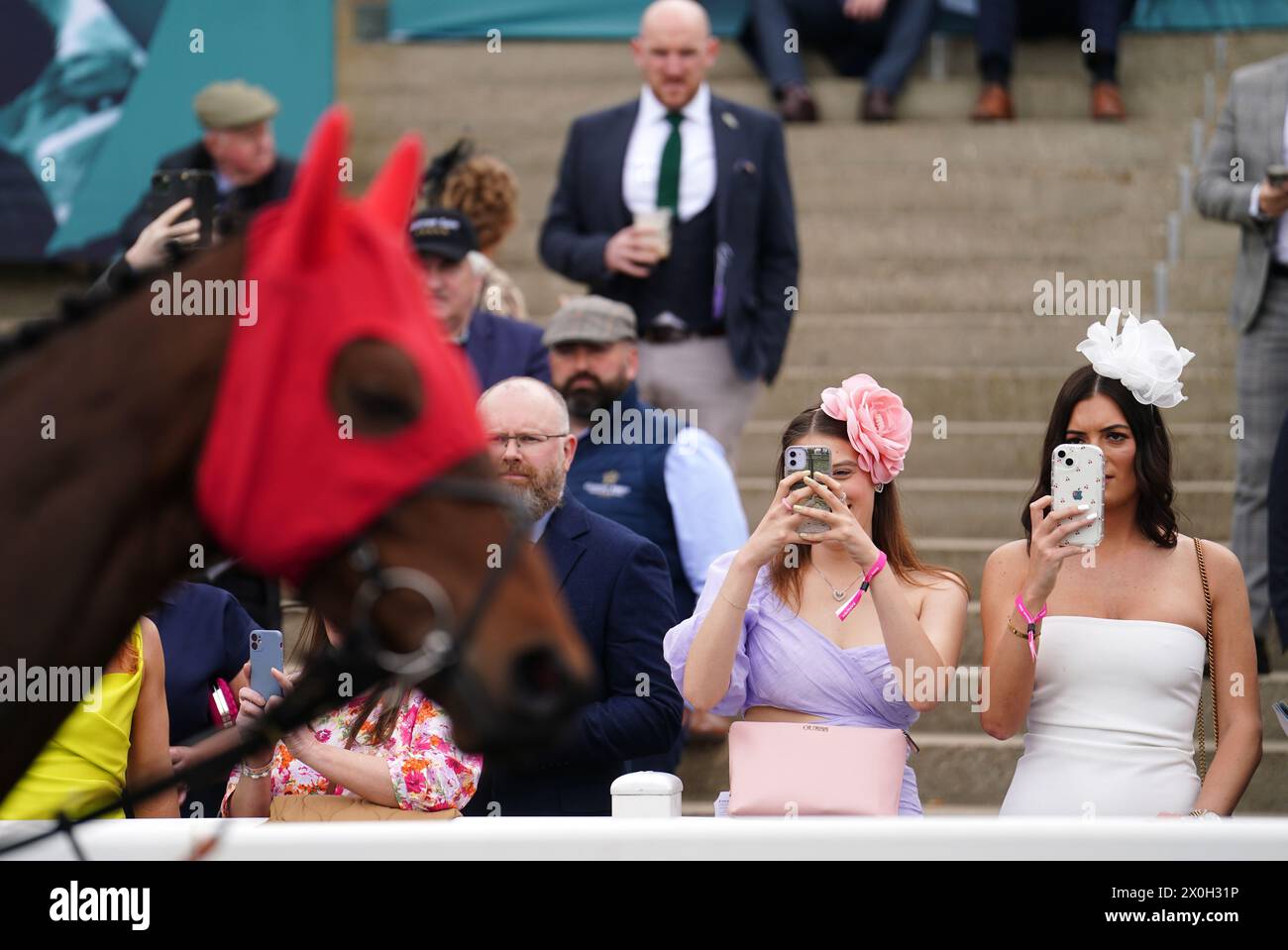 Racegoers take photos of a horse in the parade ring on day two of the ...