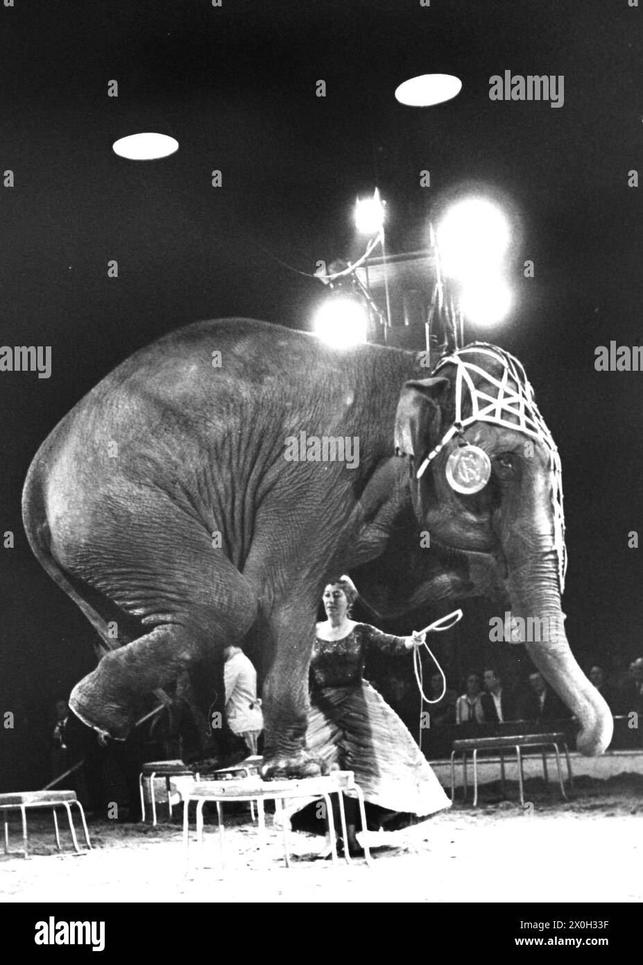 Photo taken at Zirkus Krone during the performances. In the picture ...