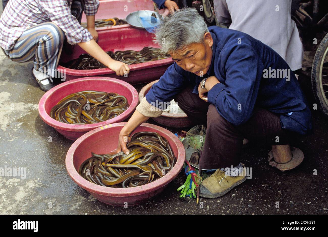 Snakes are offered for sale on the Shanghai market [automated ...