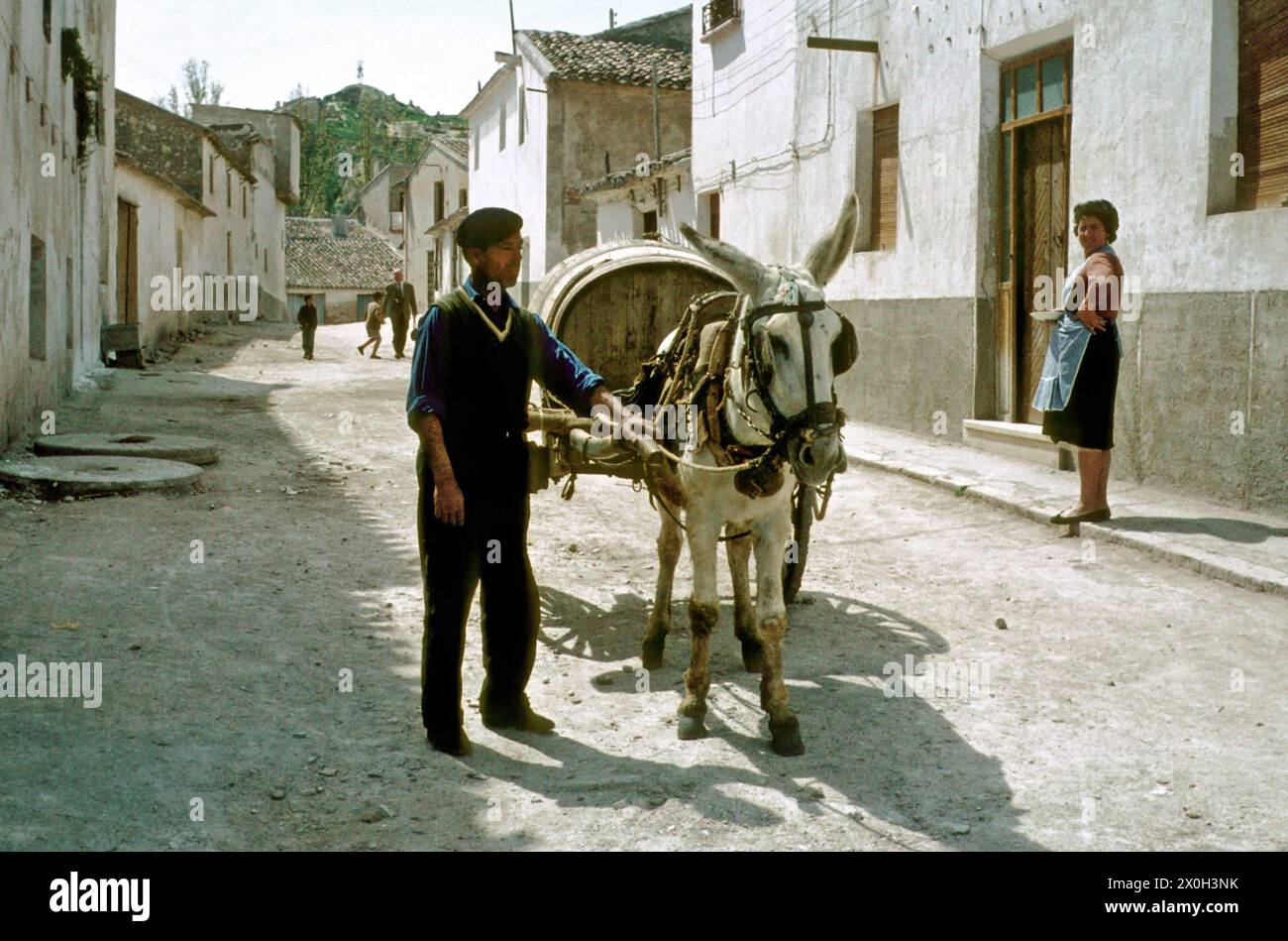 Man with donkey cart in a village [automated translation] Stock Photo ...