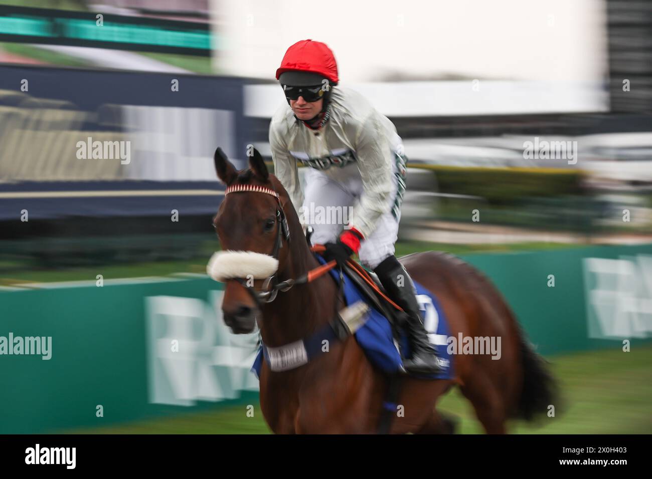 Chianti Classico ridden by David Bass rides out ahead of the 1:45pm ...