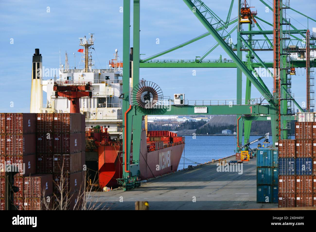 Gantry cranes and containers at the PSA Halifax Fairview Cove container ...