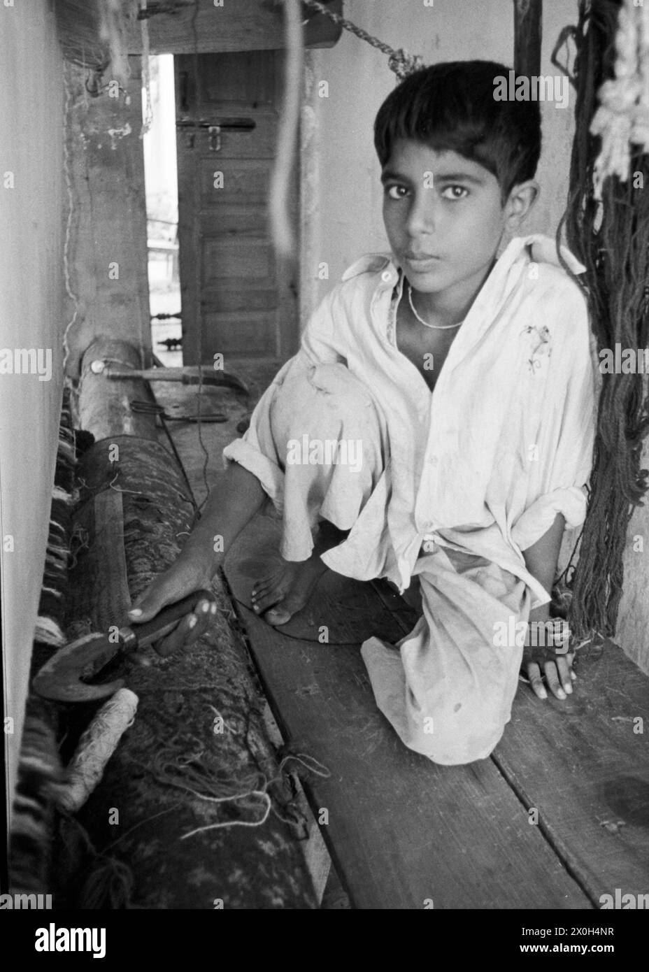 A young Pakistani at a carpet weaving loom. He cuts the wool threads ...