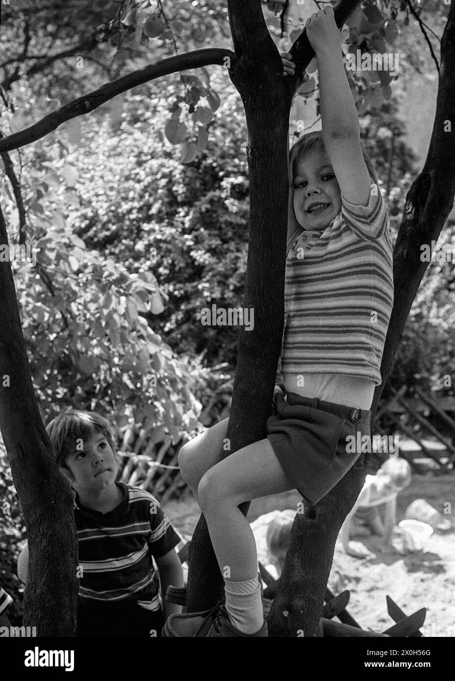 A boy climbed way up in the trees [automated translation] Stock Photo ...