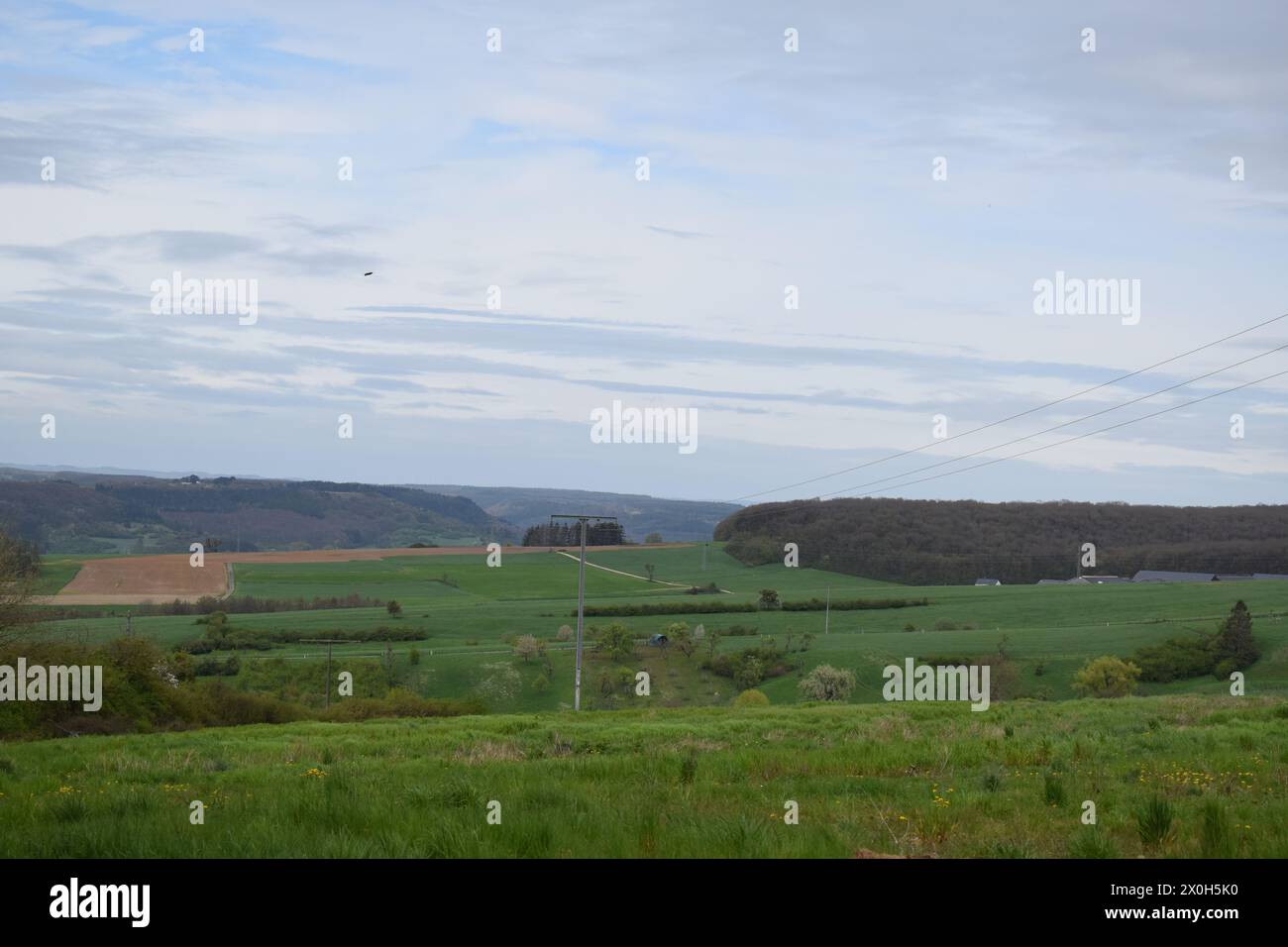Lux farm hi-res stock photography and images - Alamy