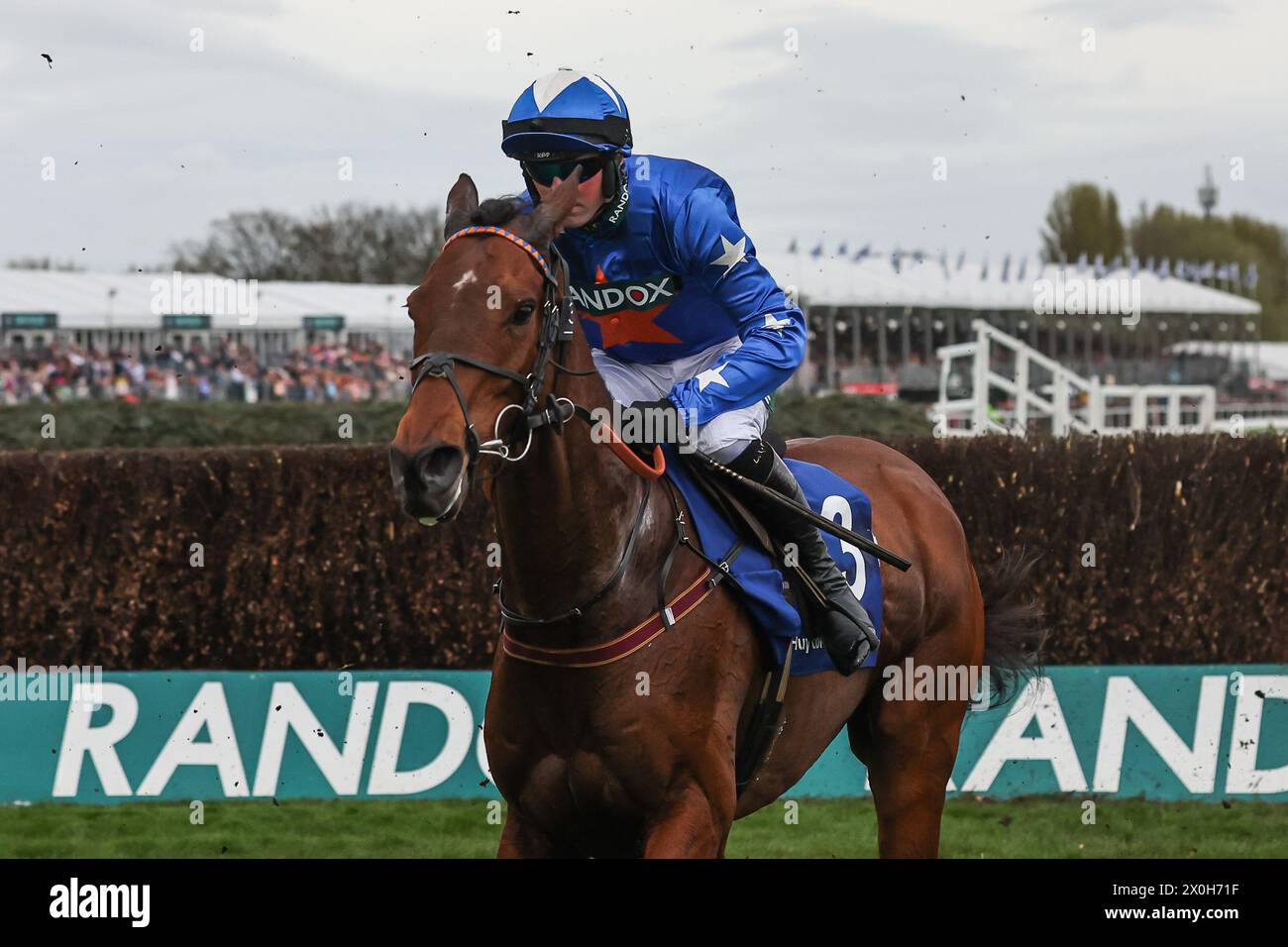 Giovinco ridden by Stephen Mulqueen during the 1:45pm Huyton Asphalt ...