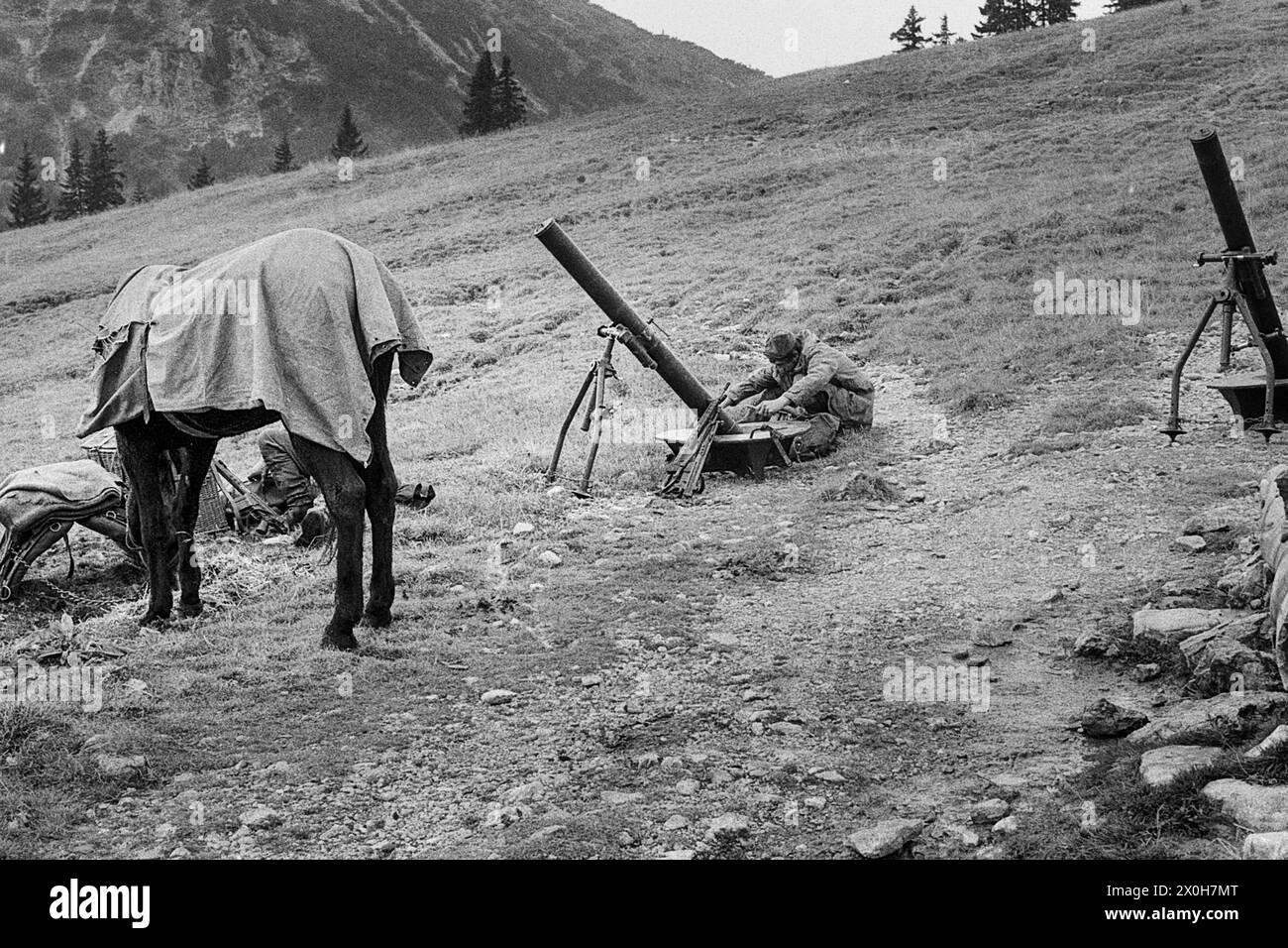 Two 120mm mortars are in position. They were transported by mules ...
