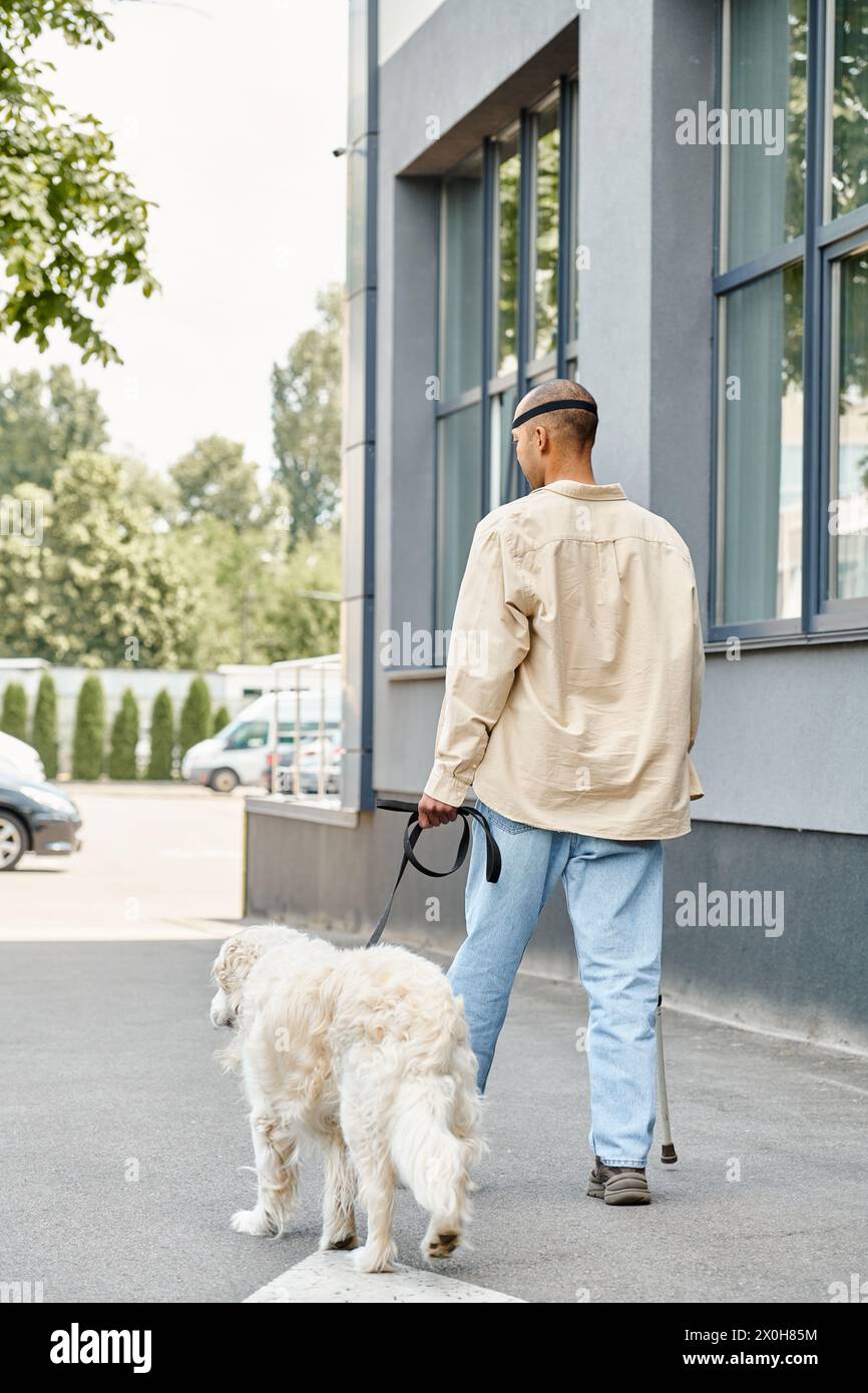 Disabled man walking dog in hi-res stock photography and images - Alamy