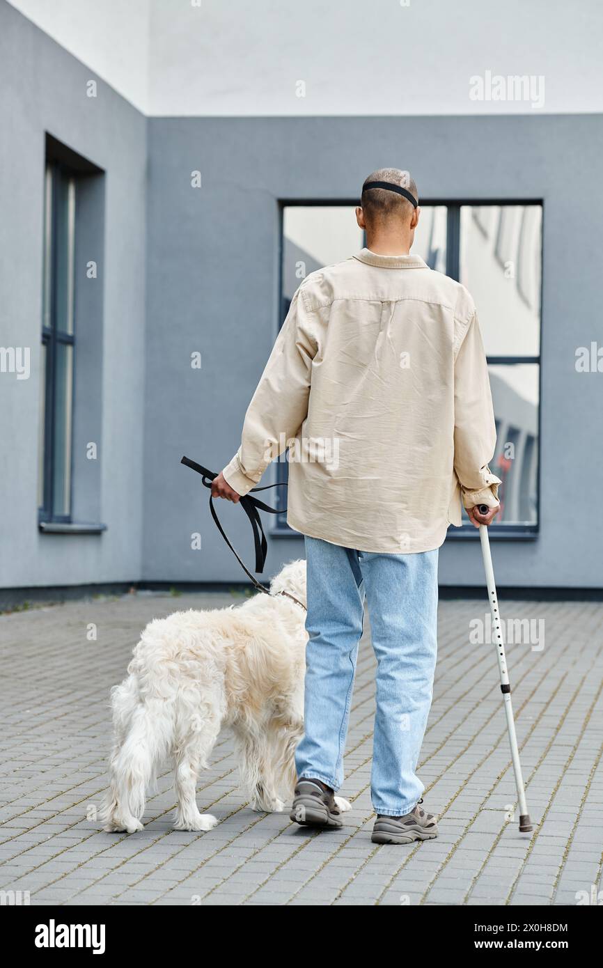 An African American man gracefully walks his Labrador dog, showcasing ...