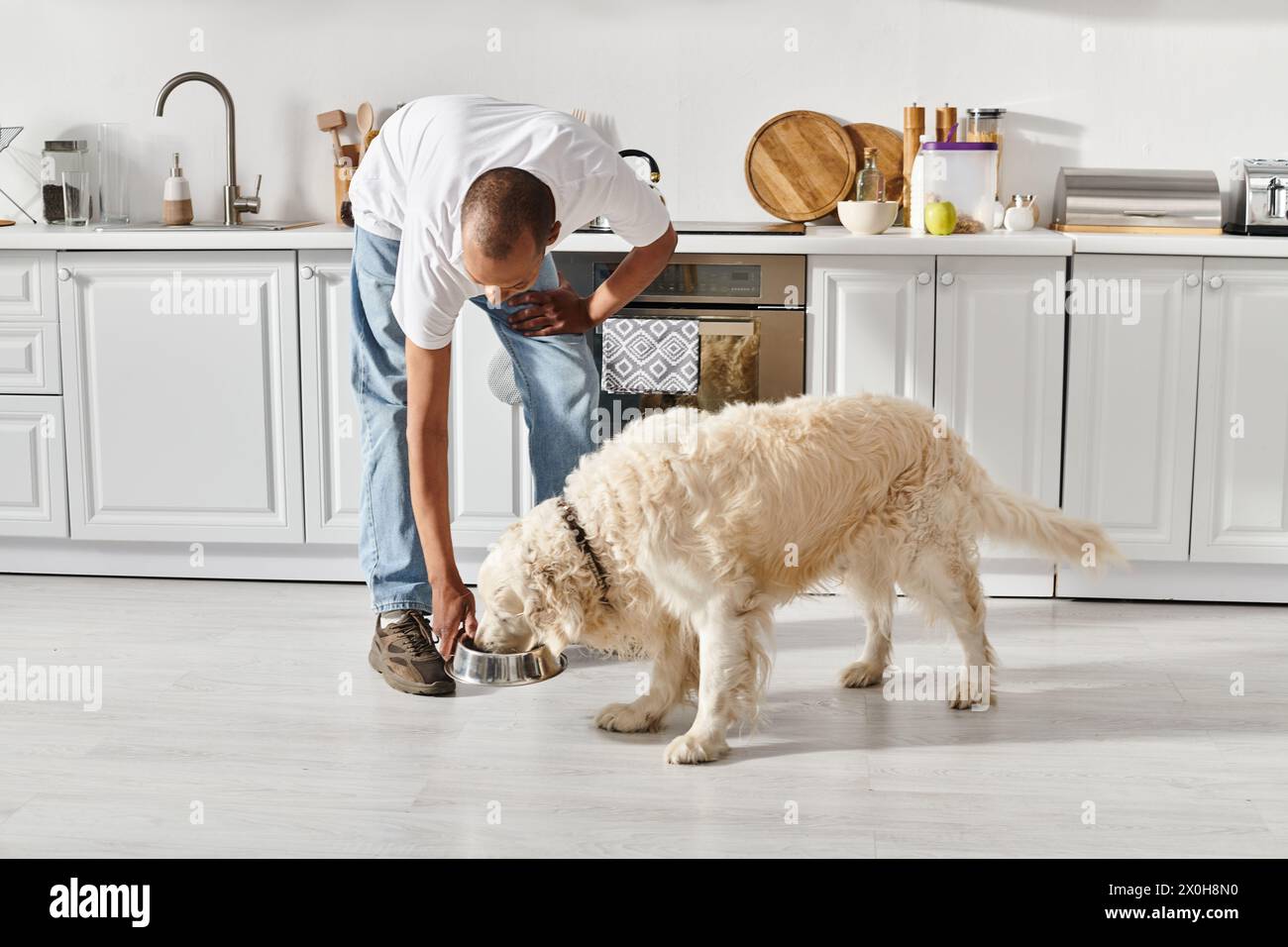 An African American man with a disability and his loyal Labrador dog in ...