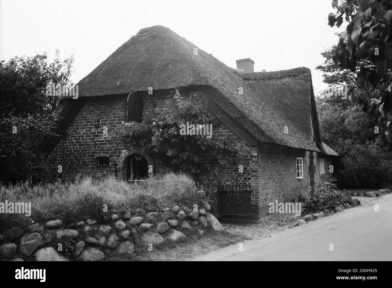 House with thatched roof [automated translation] Stock Photo - Alamy