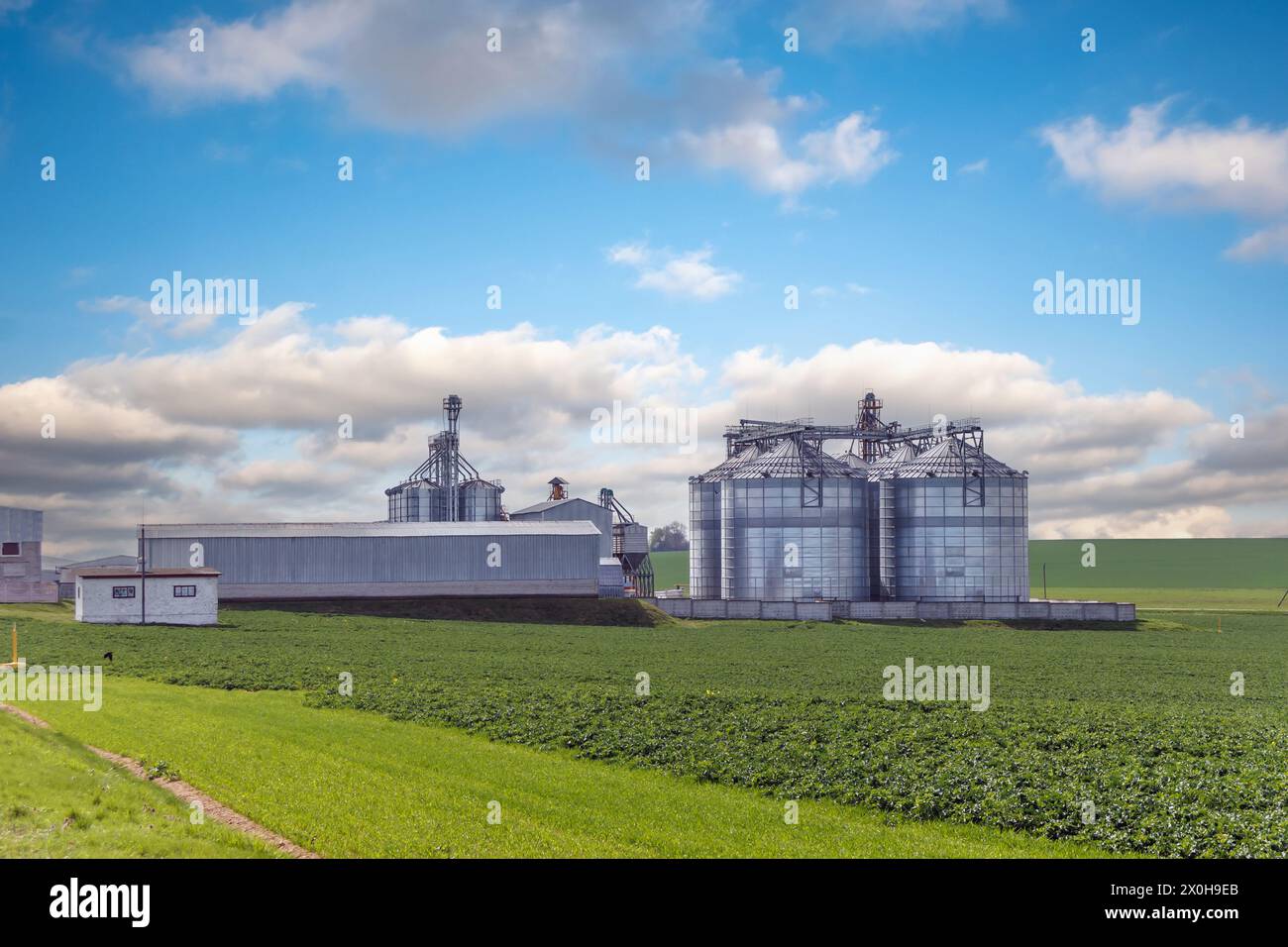silos on agro-industrial complex with seed cleaning and drying line for ...