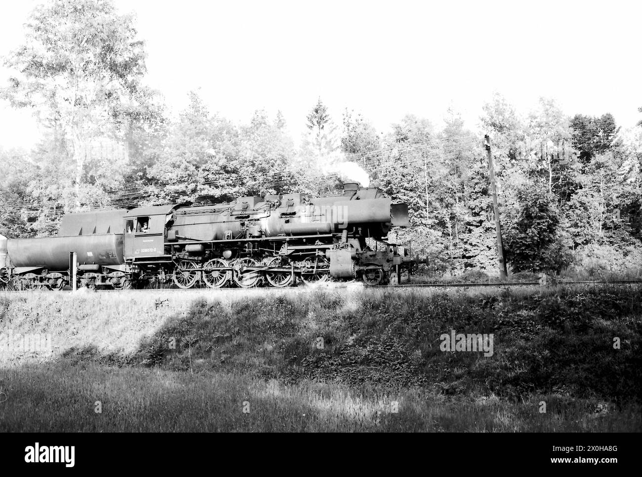 "The ""buffer kissers"" are glad that steam locomotives still handled a ...