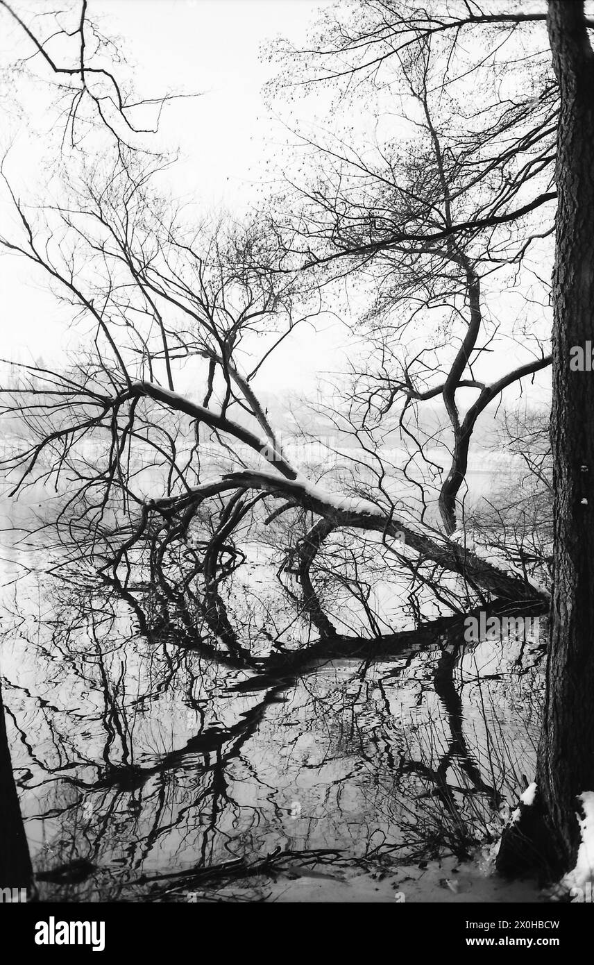 Im Hintergrund sieht man schemenhaft die Grenzanlagen der DDR Stand ...