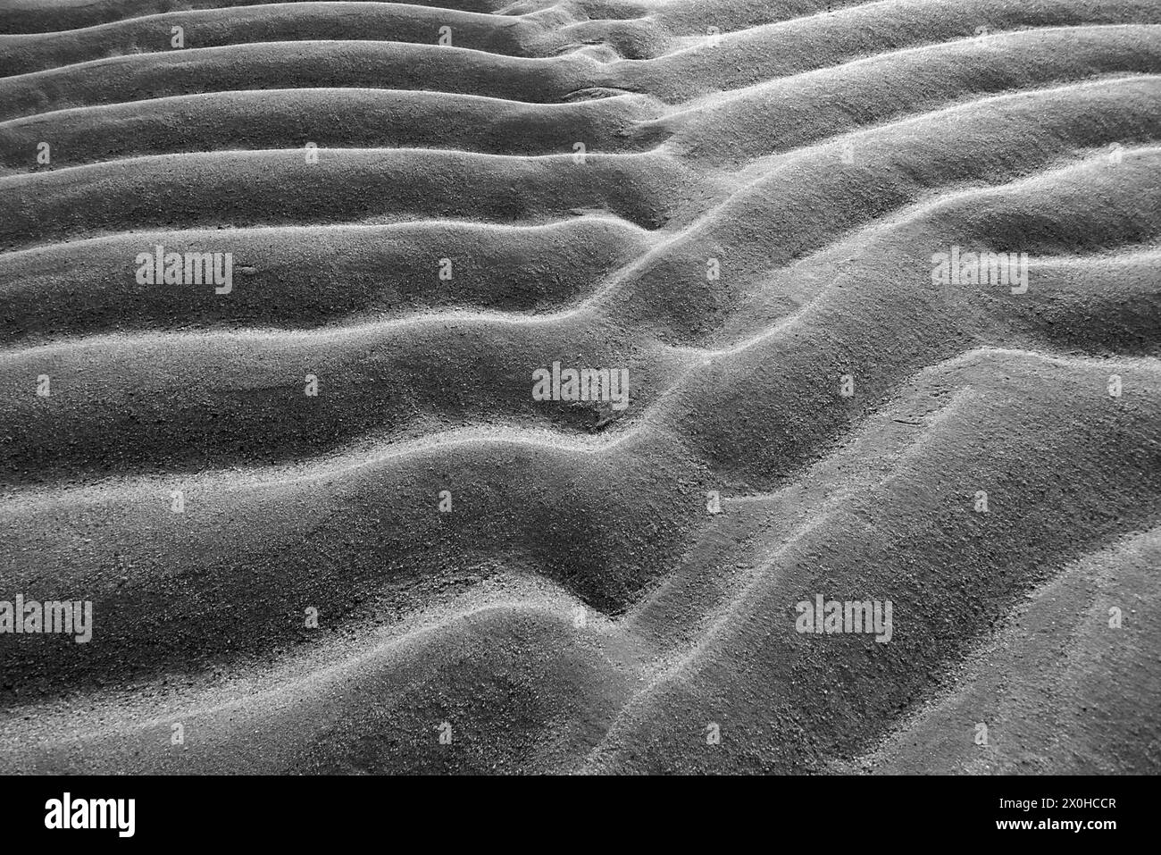 Sand formations during low tide on the Grande Côte before La Barre de ...