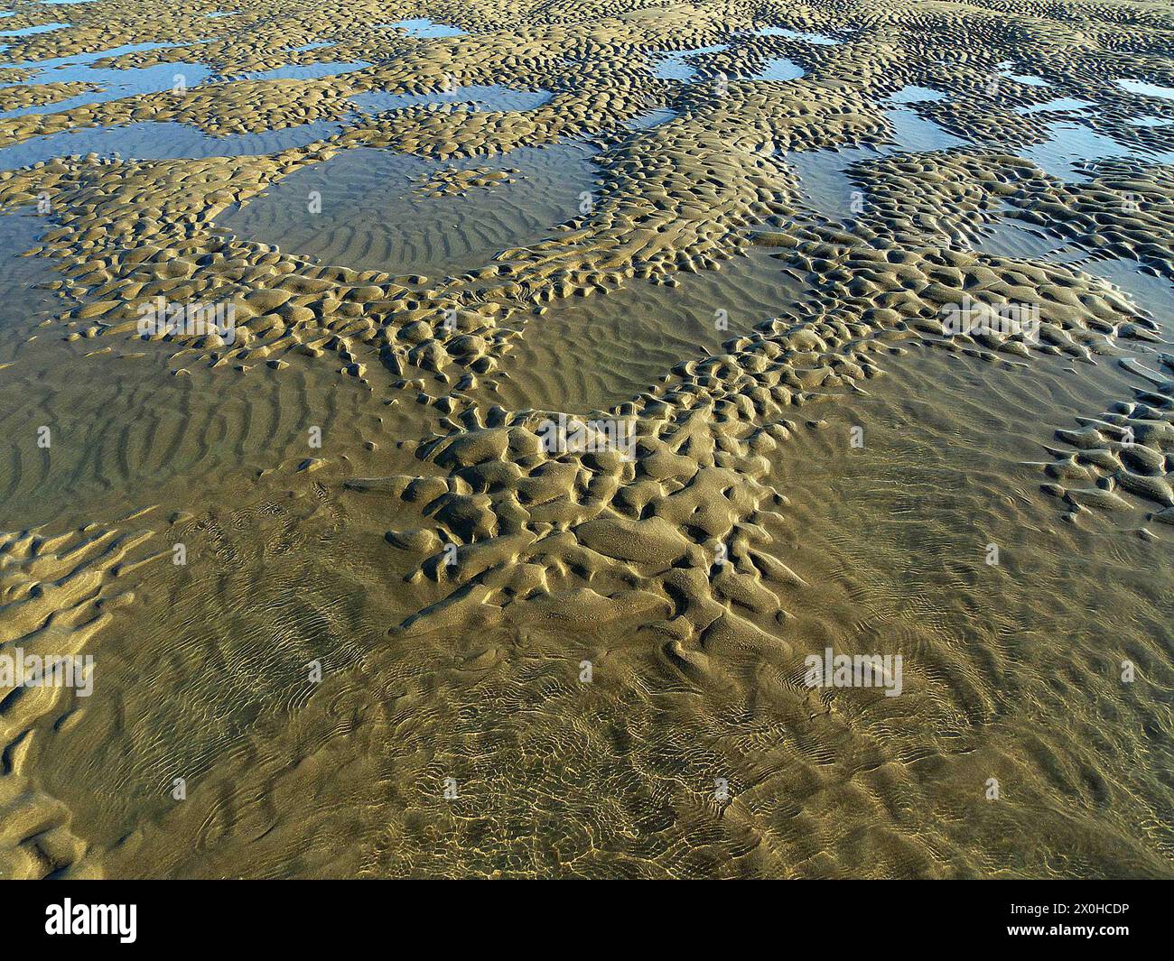 Sand formations during low tide on the Grande Côte before La Barre de ...