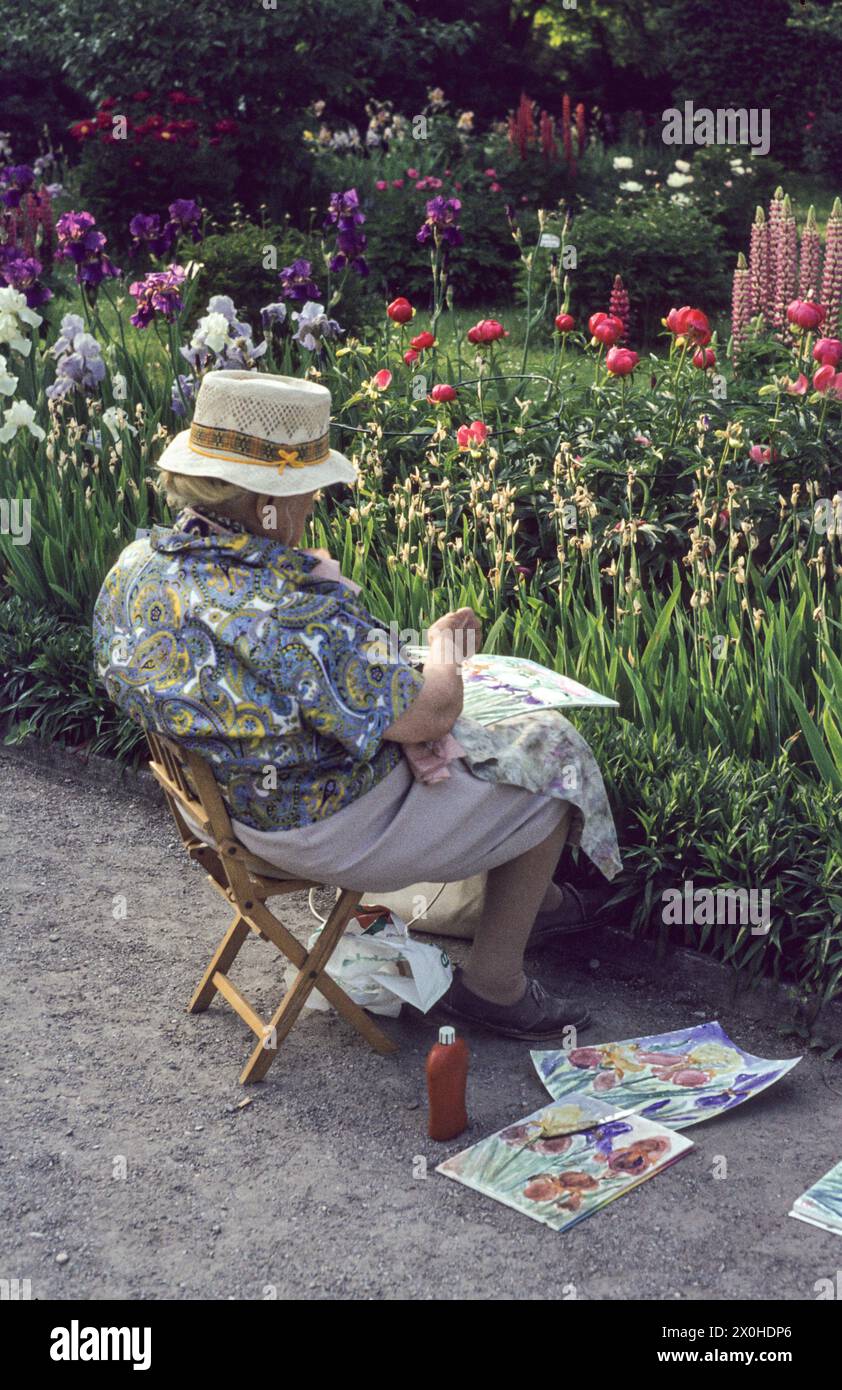 An old lady sits on a folding chair and paints blossoming flowers in ...