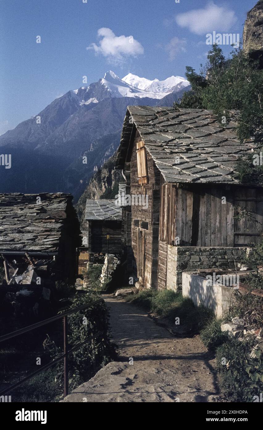 Typical Valaisan barns covered with shingles, with snow-covered four ...