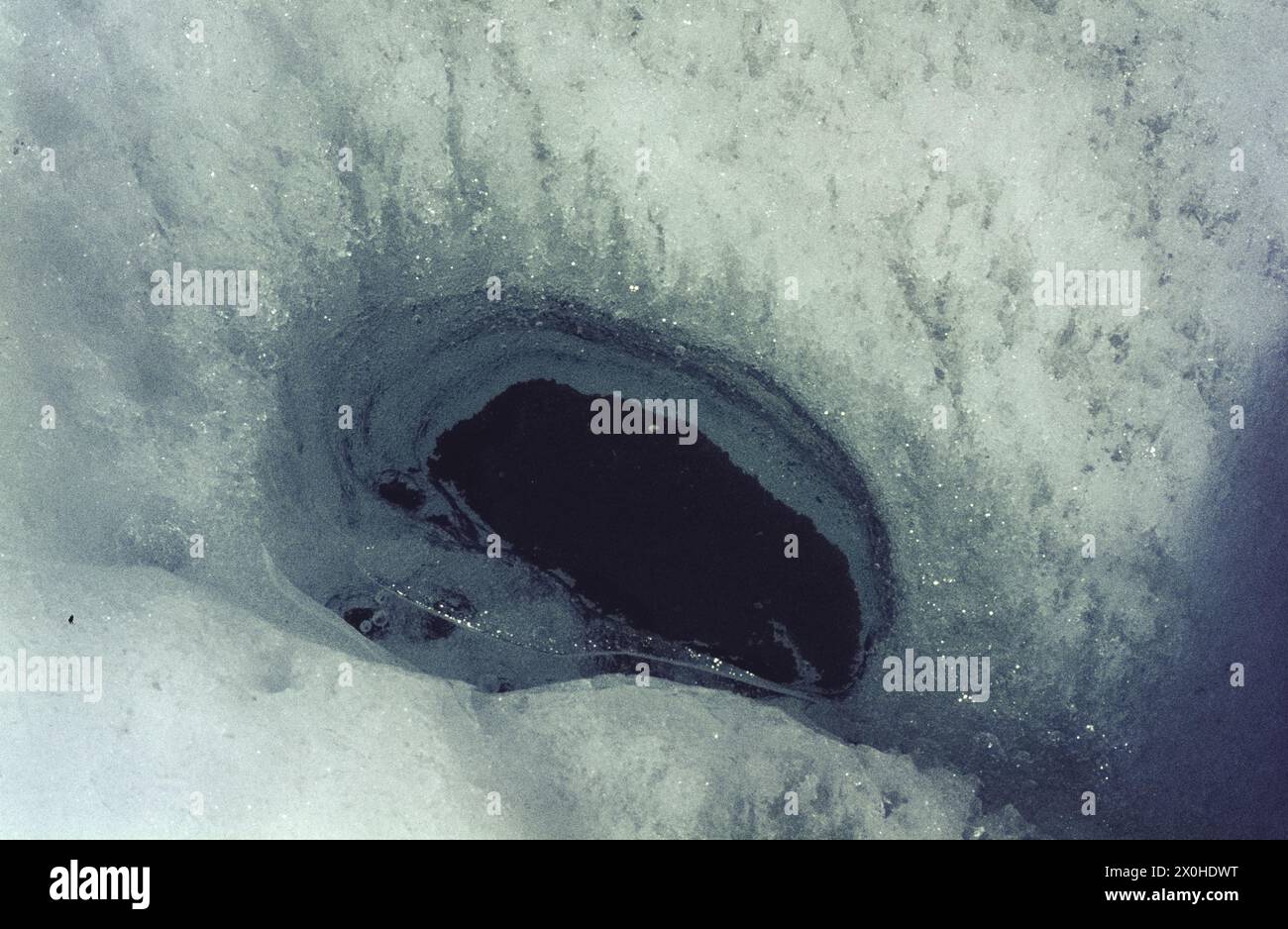 Melting shells, also called noon holes, on the glacier surface of ...