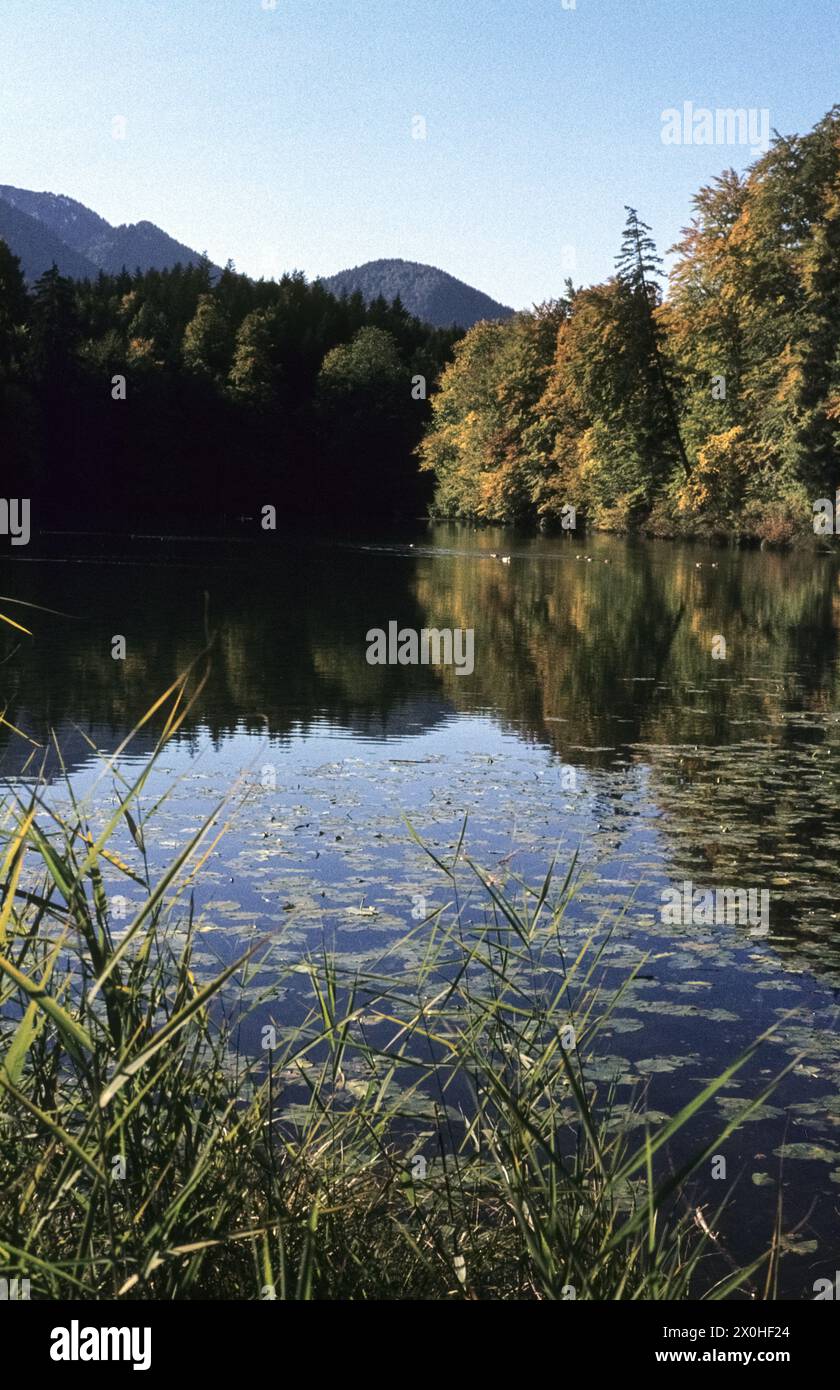 The castle pond at Hohenburg Castle in the fall [automated translation ...