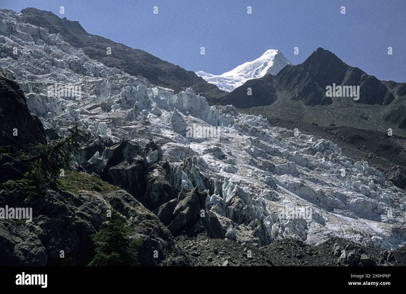 The glacier from the lateral moraine at about 1900 m with the Aiguille ...