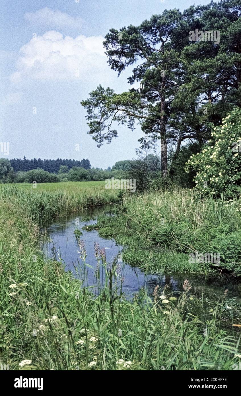 A small overgrown stream winds its way through an idyllic landscape ...