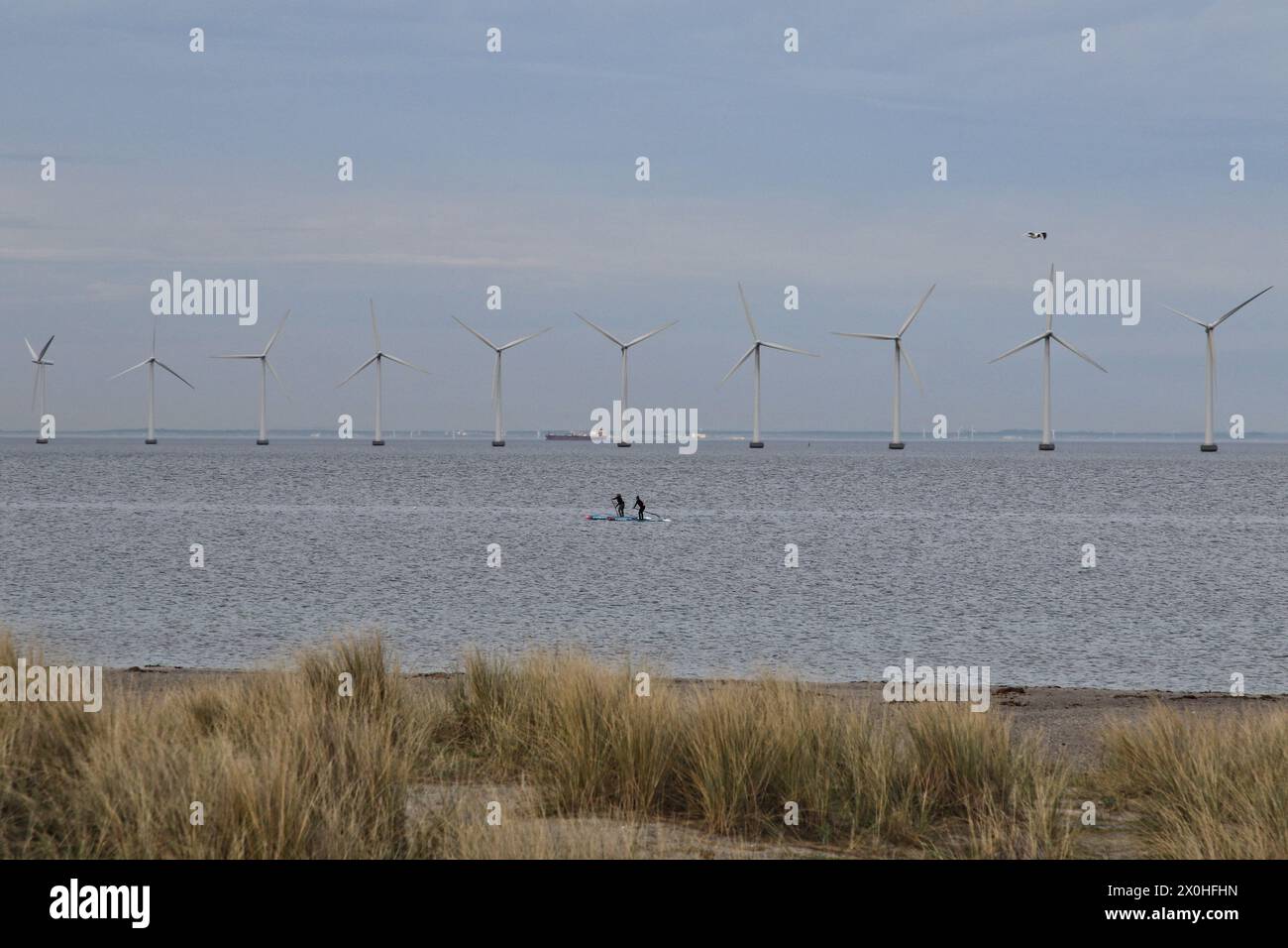 Stand up paddle boarders and offshore wind turbines Amagar beach park ...