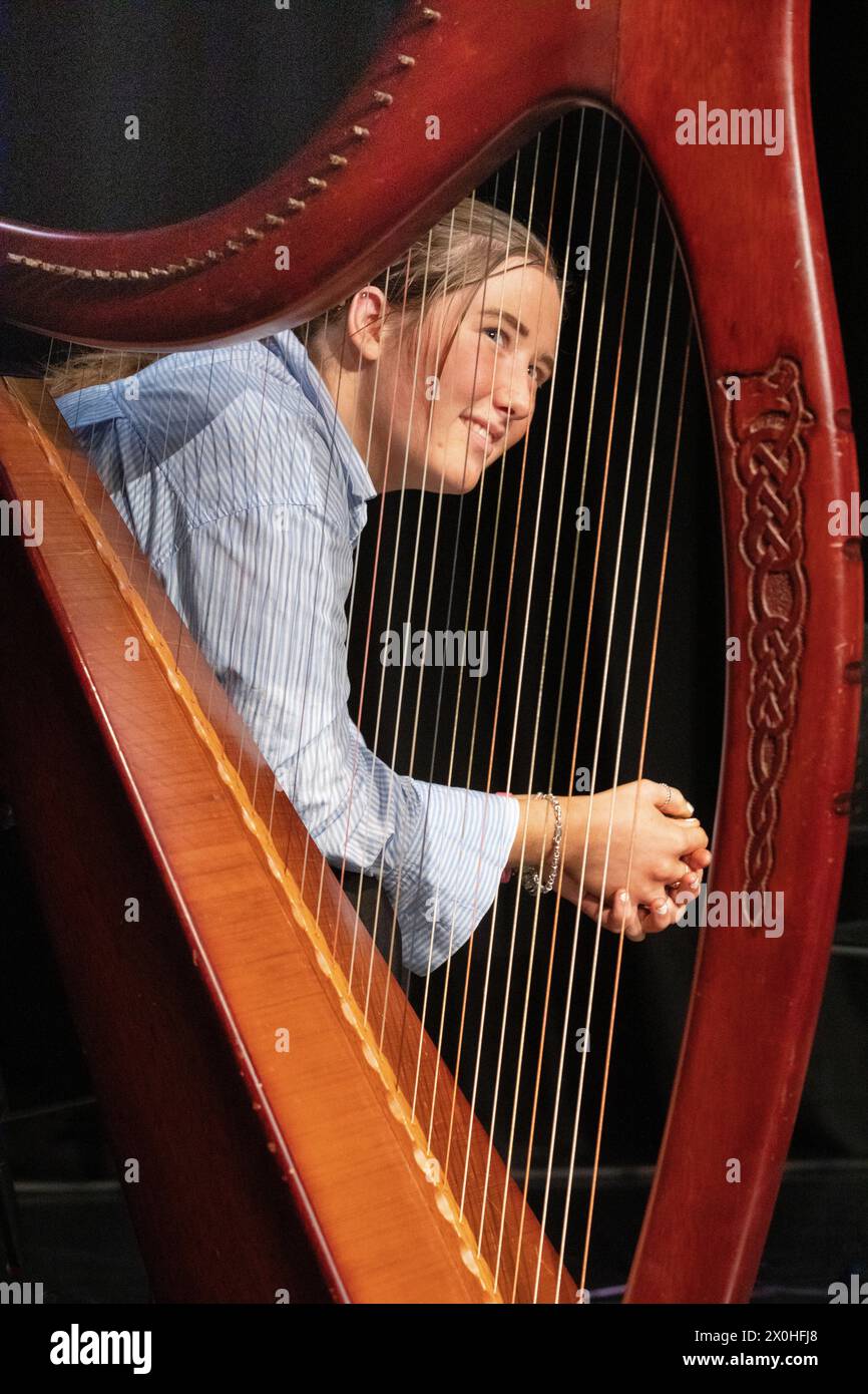Irish harp hi-res stock photography and images - Alamy
