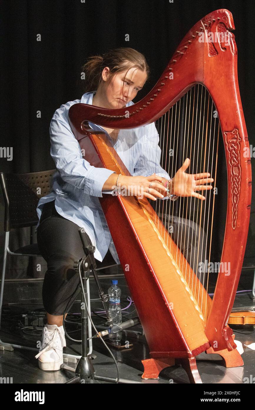 Irish harp hi-res stock photography and images - Alamy