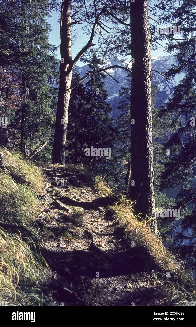 On the hiking trail around the Eibsee in fall, the trail in front, the ...