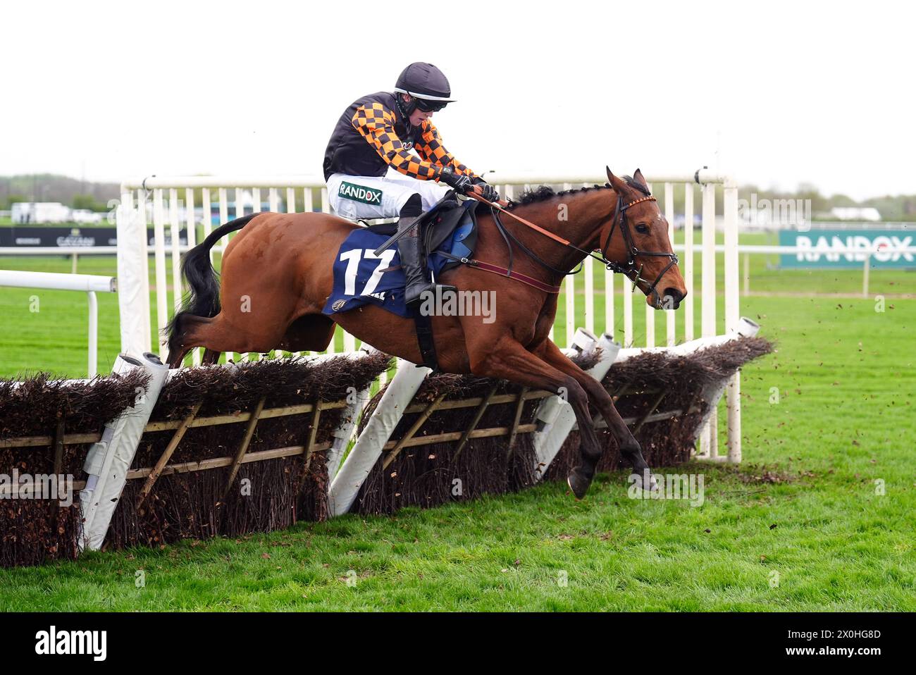 Serious Operator and Patrick Wadge during the William Hill Handicap ...