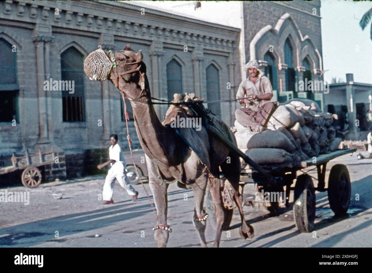 Camel carriage hi-res stock photography and images - Alamy