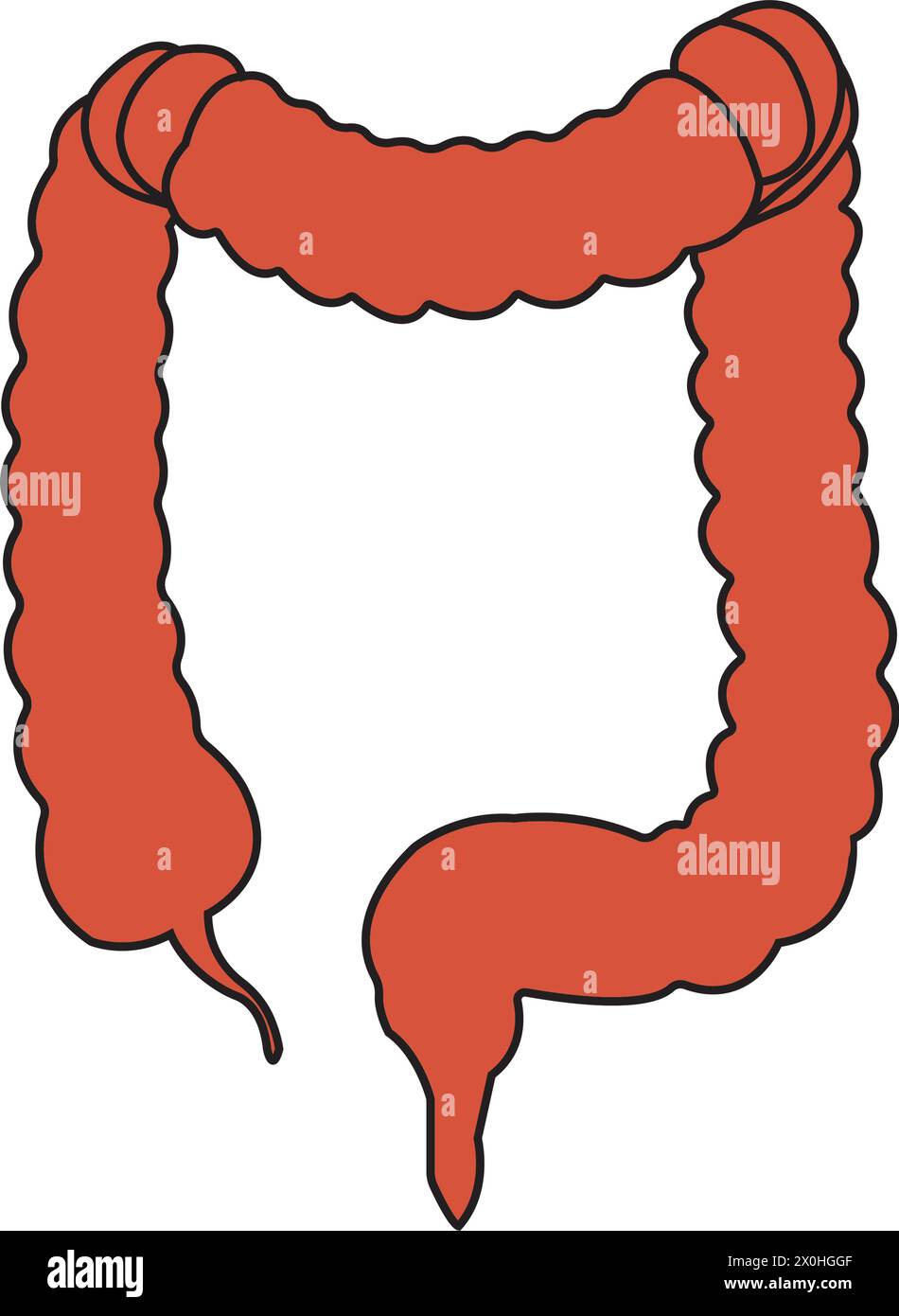 intestines vector illustration symbol design Stock Vector Image & Art ...