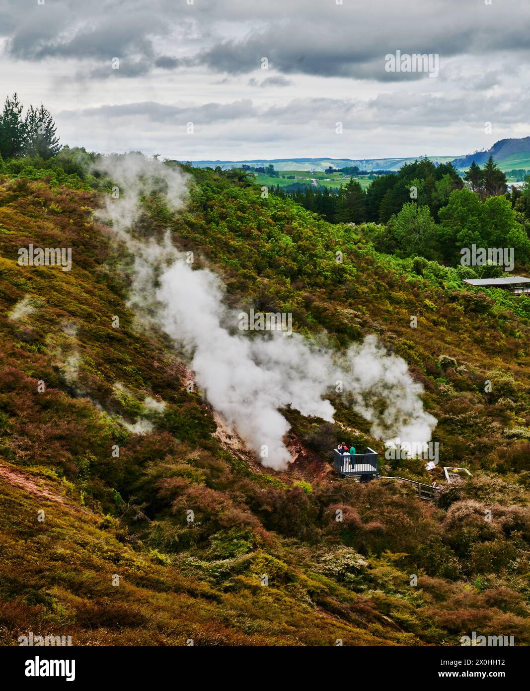 Landscape of Orakei Korako Geothermal Park, Taupo, North Island, New ...