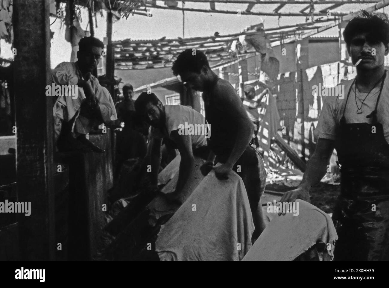 Pakistan tour hi-res stock photography and images - Alamy