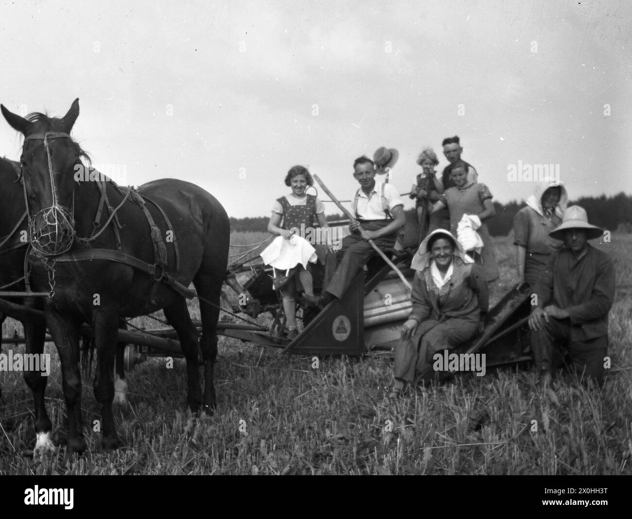 Harvest on a field with horses Stock Photo - Alamy