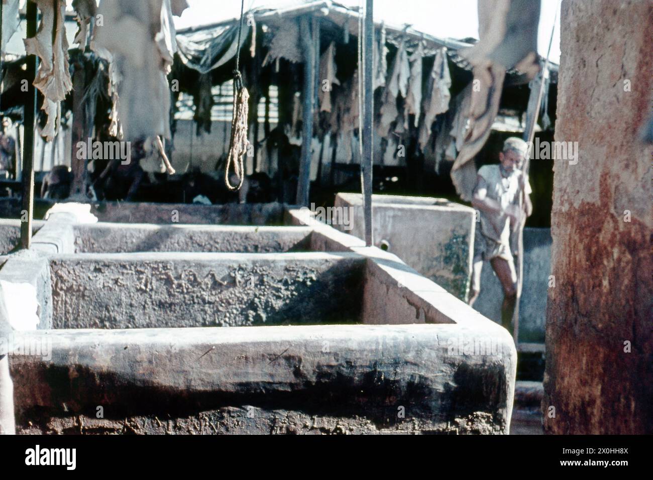 A tannery in Pakistan, with tanning pits. Probably tanning goat hides ...