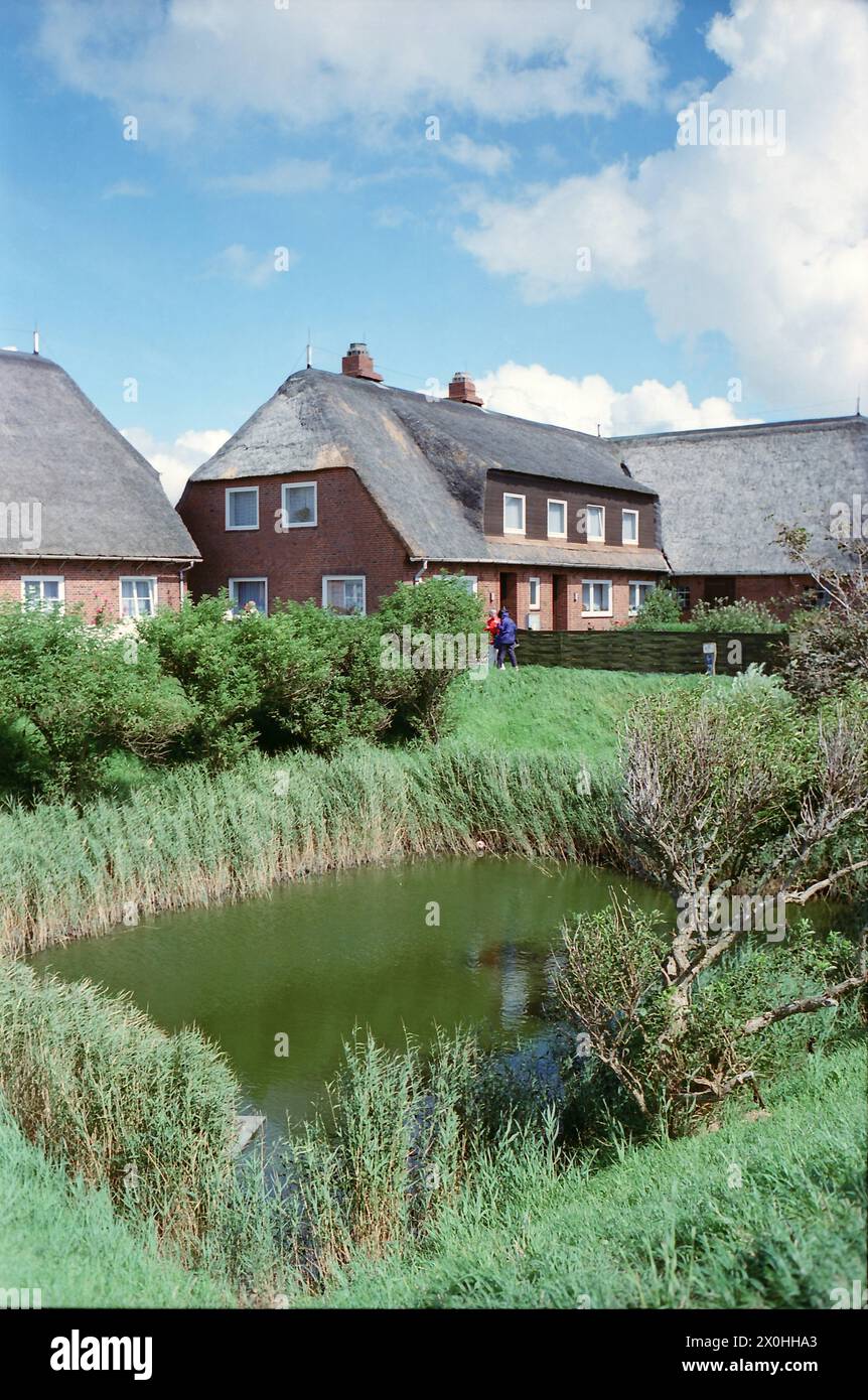 The Halligen are small islands that are flooded to the higher ...