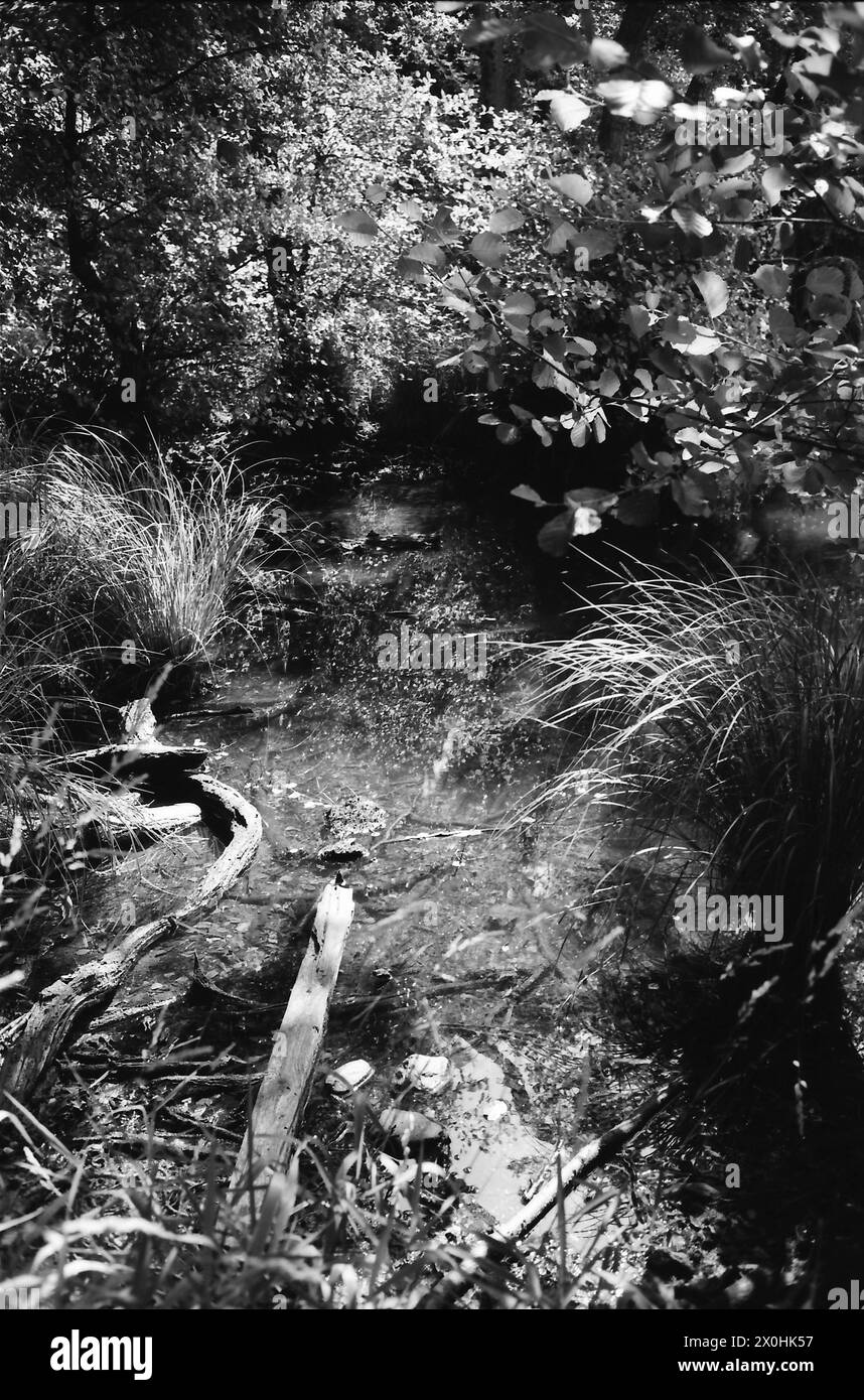 The wall is gone. Childhood memories come flooding back. So off to ...